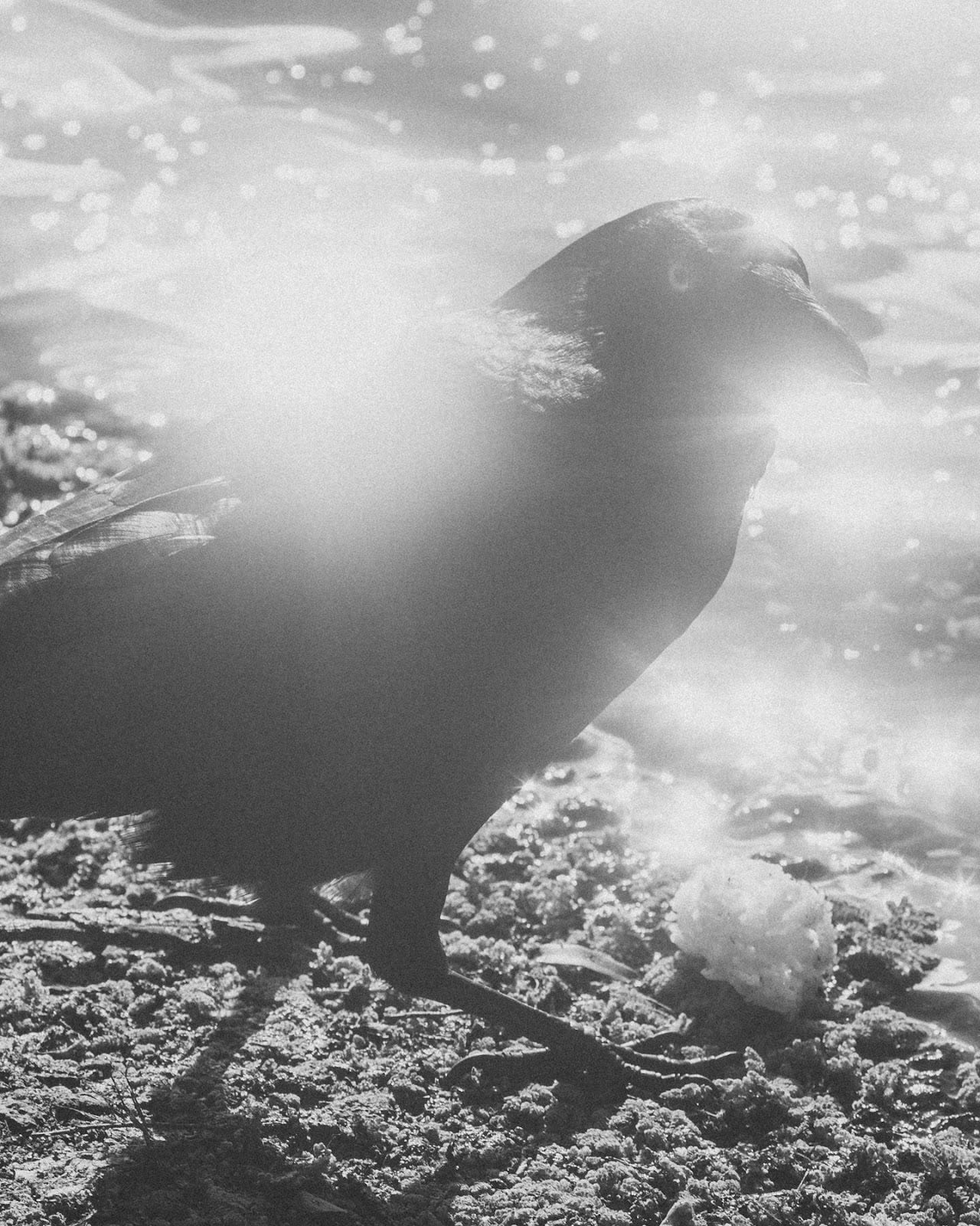 10 Competition Winners from the Month of November