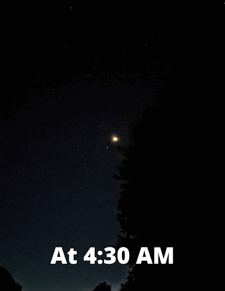 Moon, Stars & Leaves - by Con/Jur/d - gate(less)