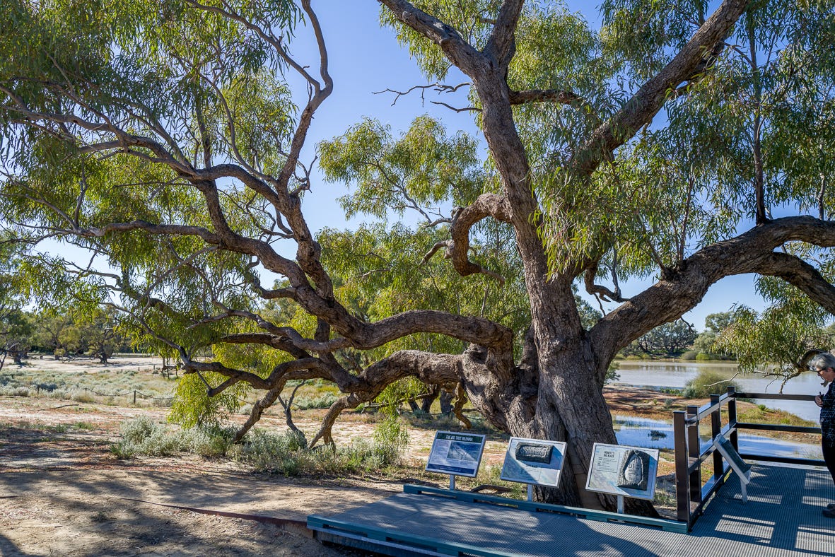 Cameron's Corner, Innamincka, and Eromanga - by Marleen