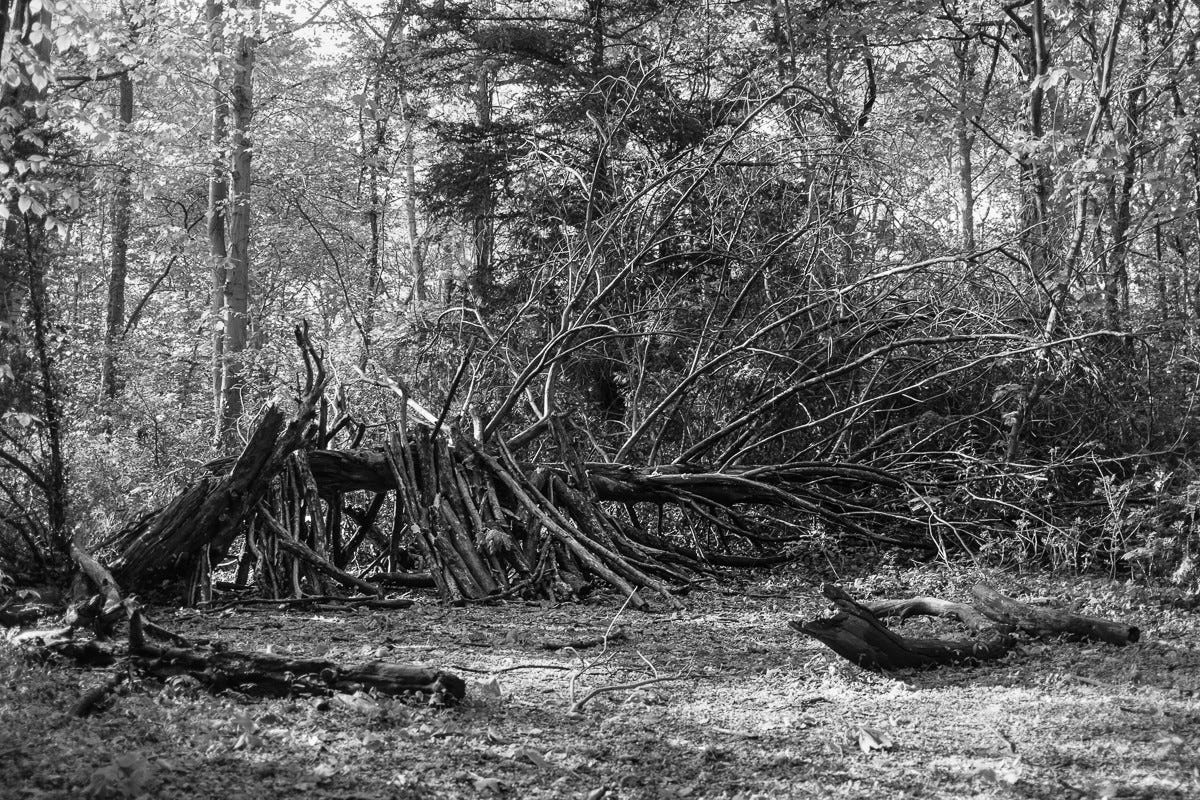 2021 - A Year In Review - by Matthew Martin - Endless Proof