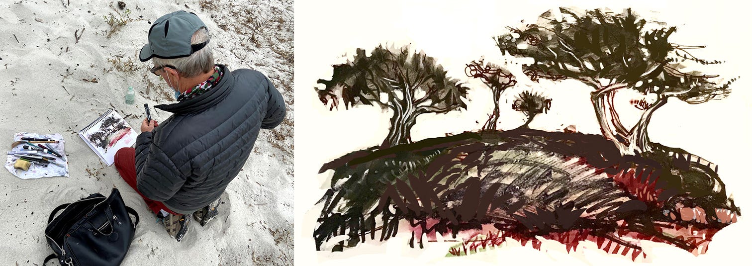 Trees: Part One - by Bill Russell - Illustrated Journalism