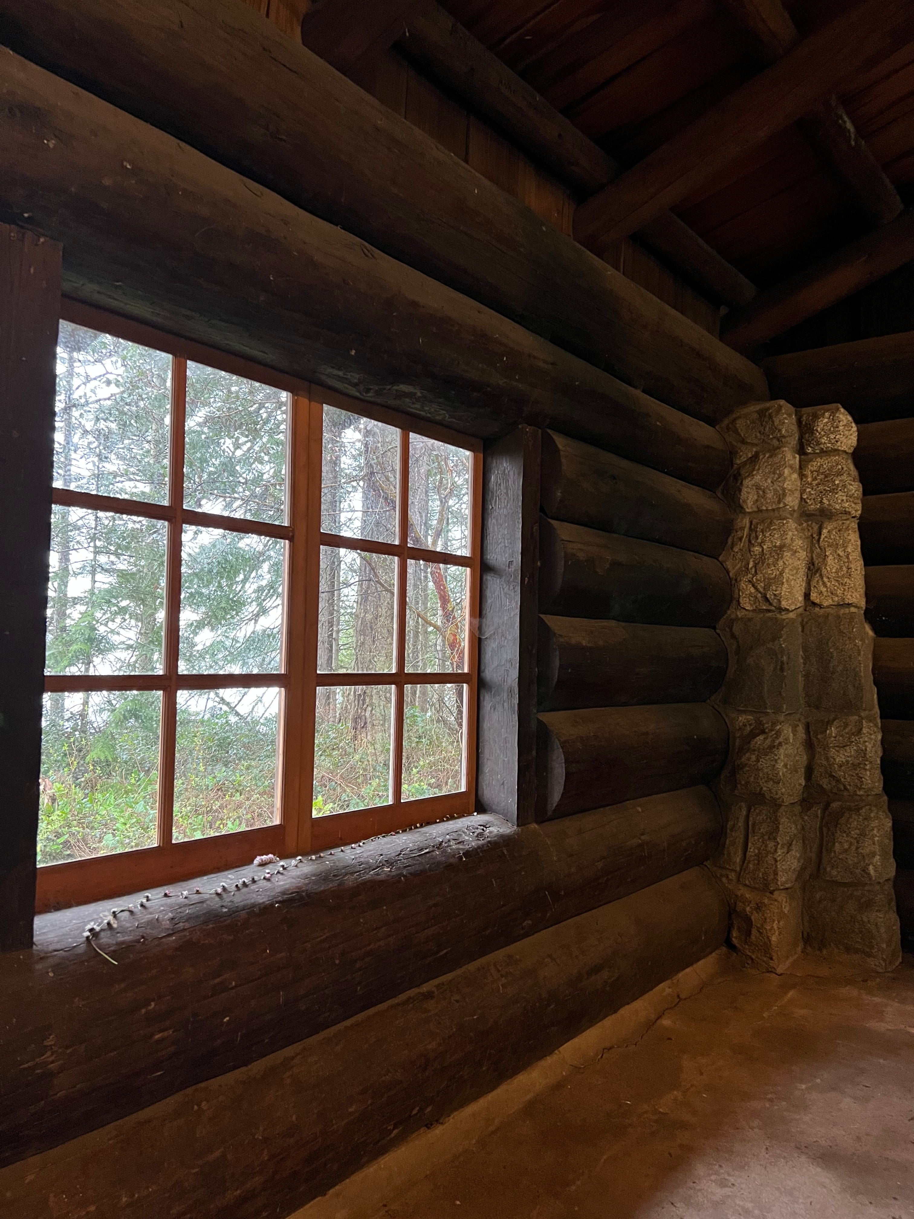 Surfers vs. Deadhead - by Nikki McClure - The Quill Scene