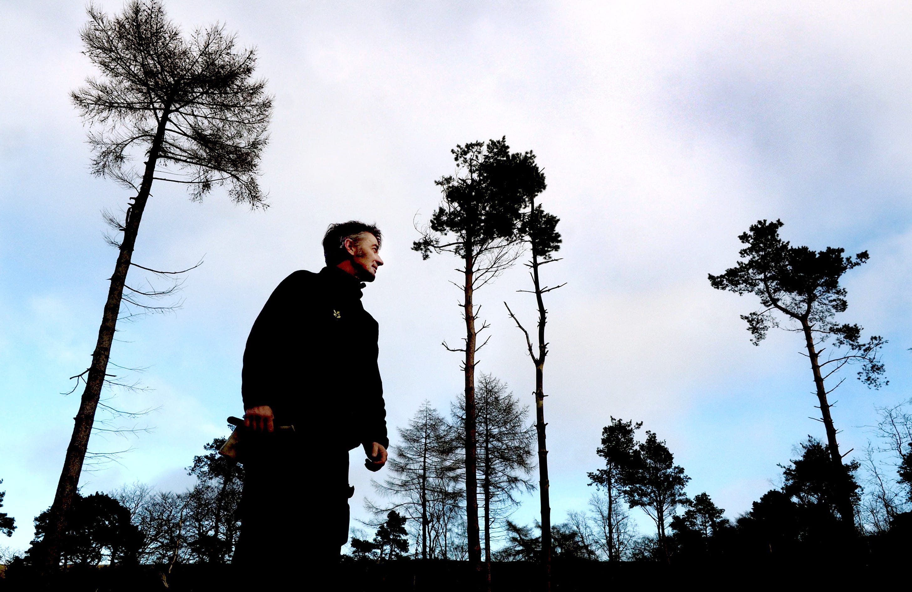 Let The Light Back In - by David Bocking