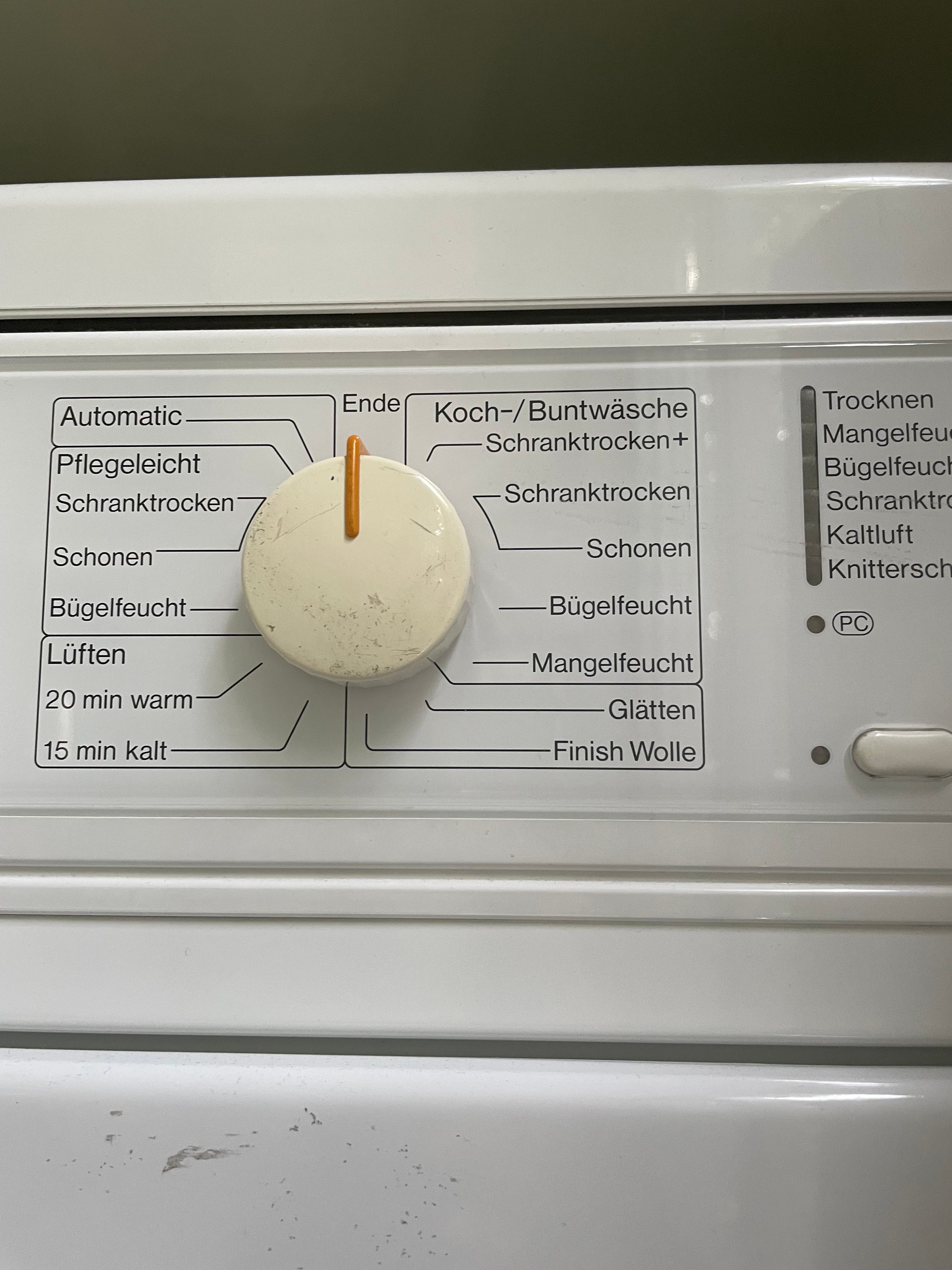 week 19 - by Jennifer Finkel