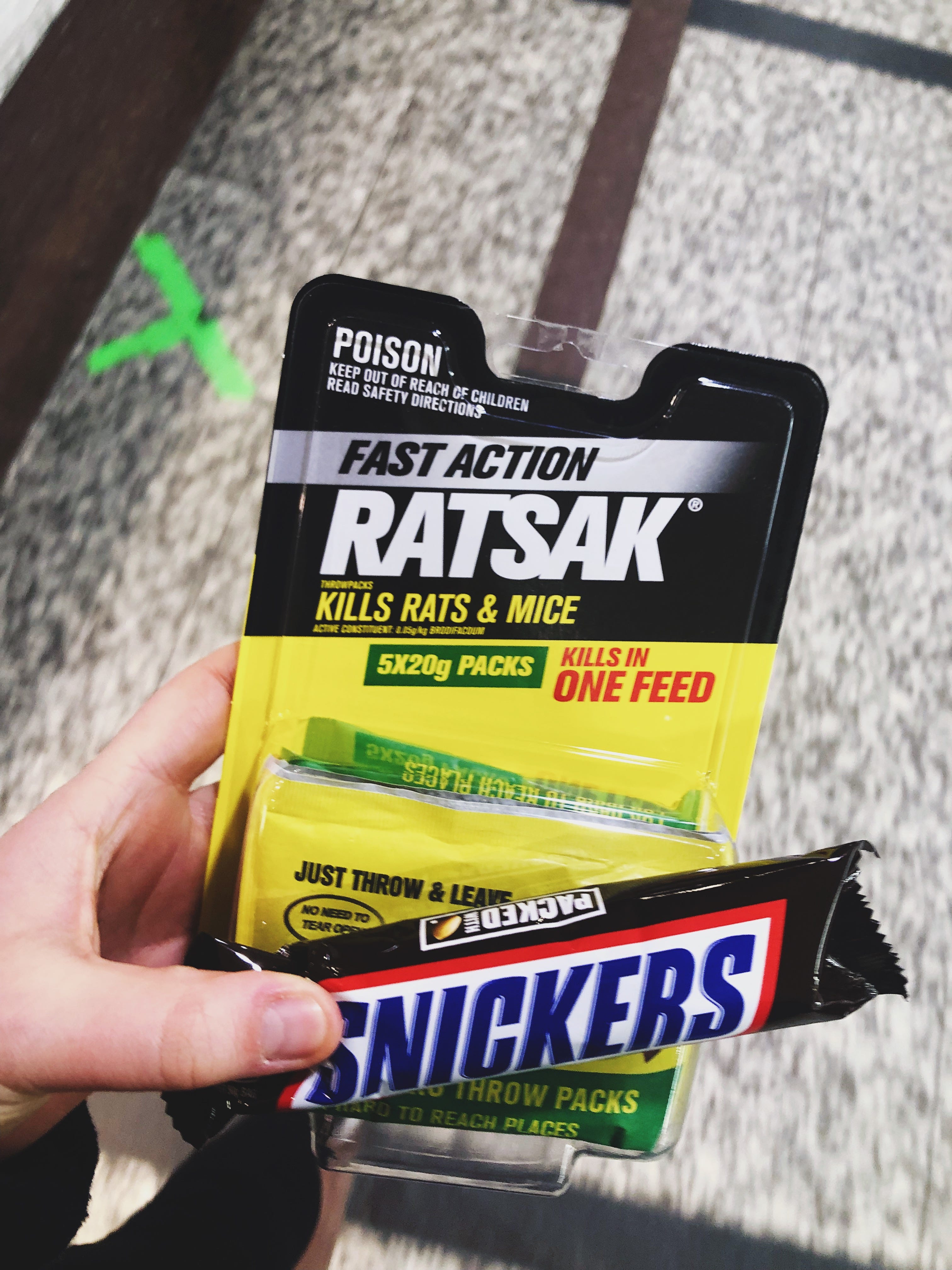 #17 There’s a mouse in my house - by Nicole Coombs