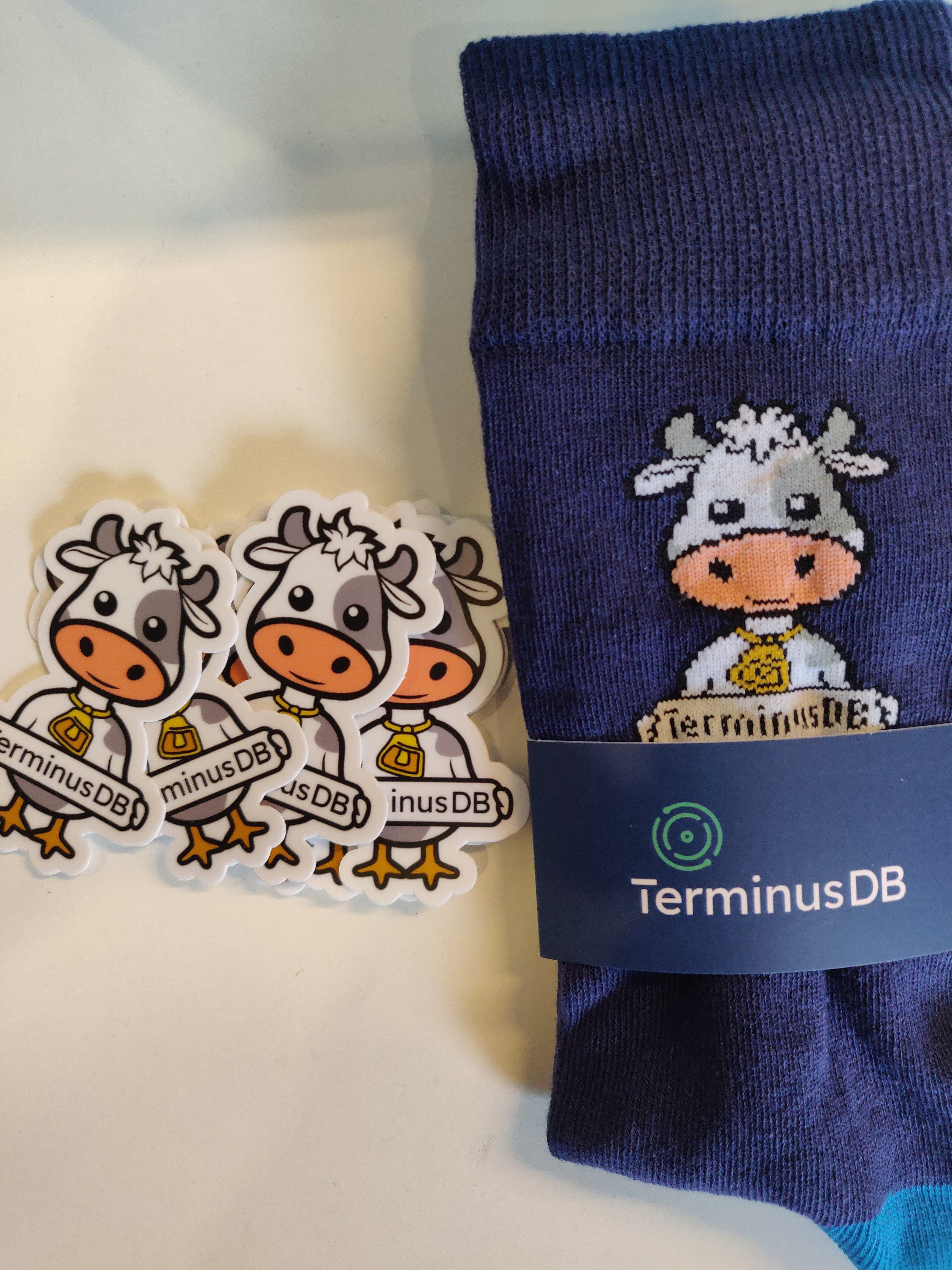 TerminusHub - by Luke Feeney - TerminusDB Newsletter