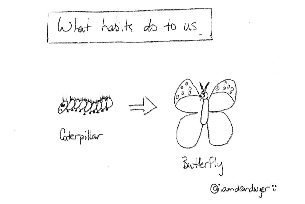 Creating caterpillar to butterfly transformations.