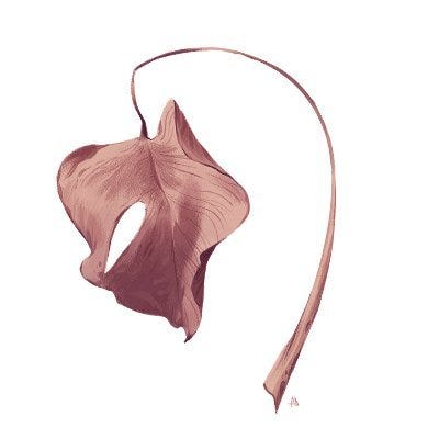 Alexandria Neonakis | Substack