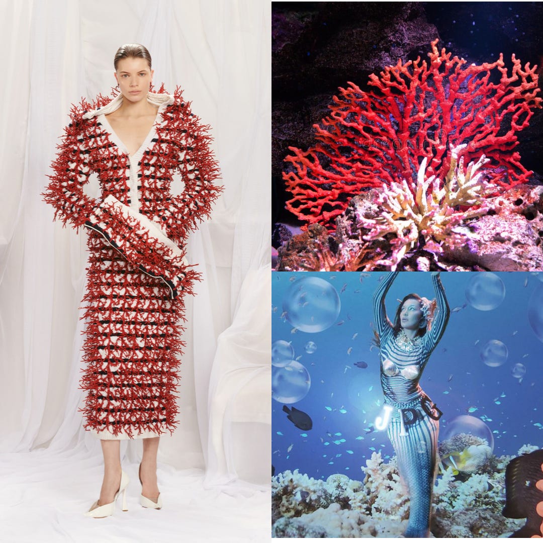 Jean Paul Gaultier Couture SS22 - mod3ls’s Newsletter