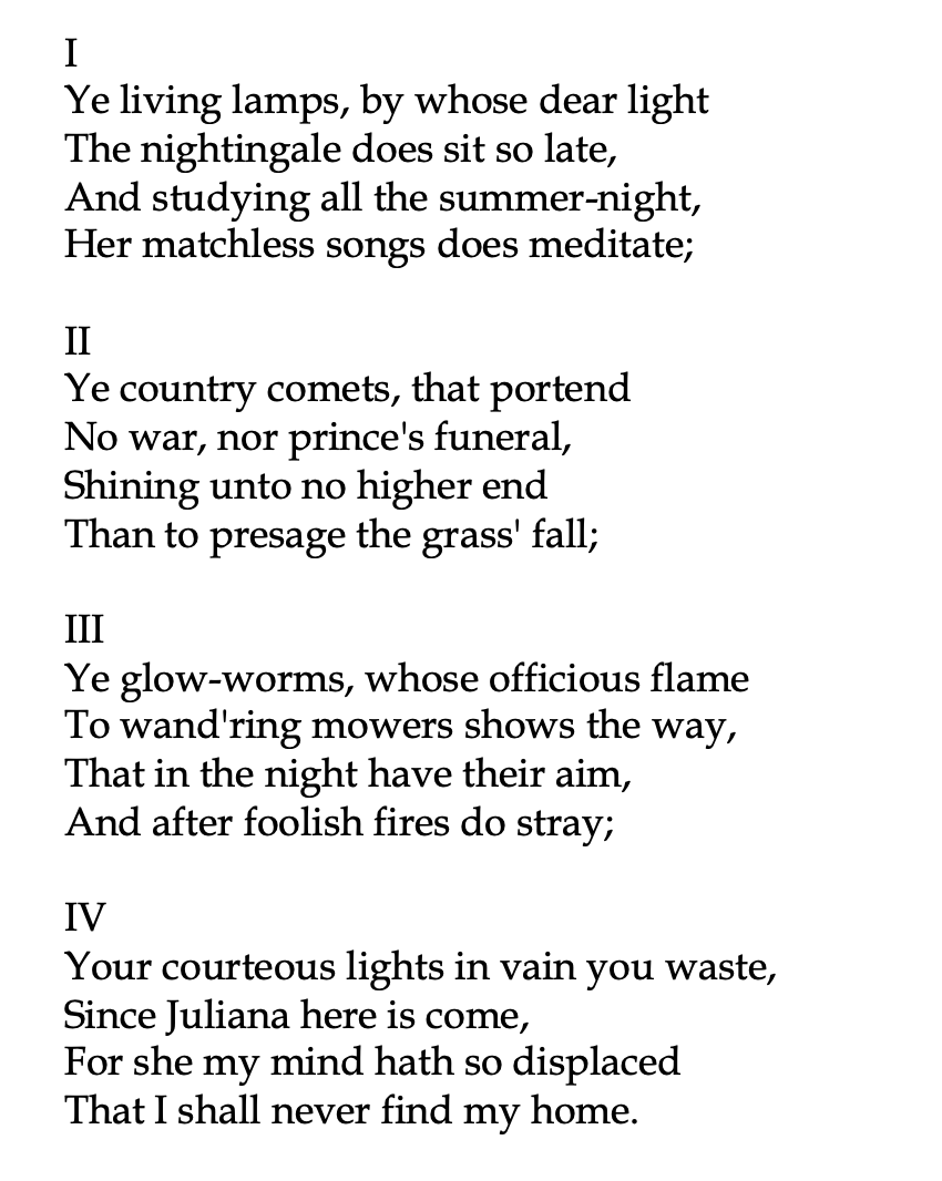 Glow-worms - by Olivia Smith - Olivia/notes