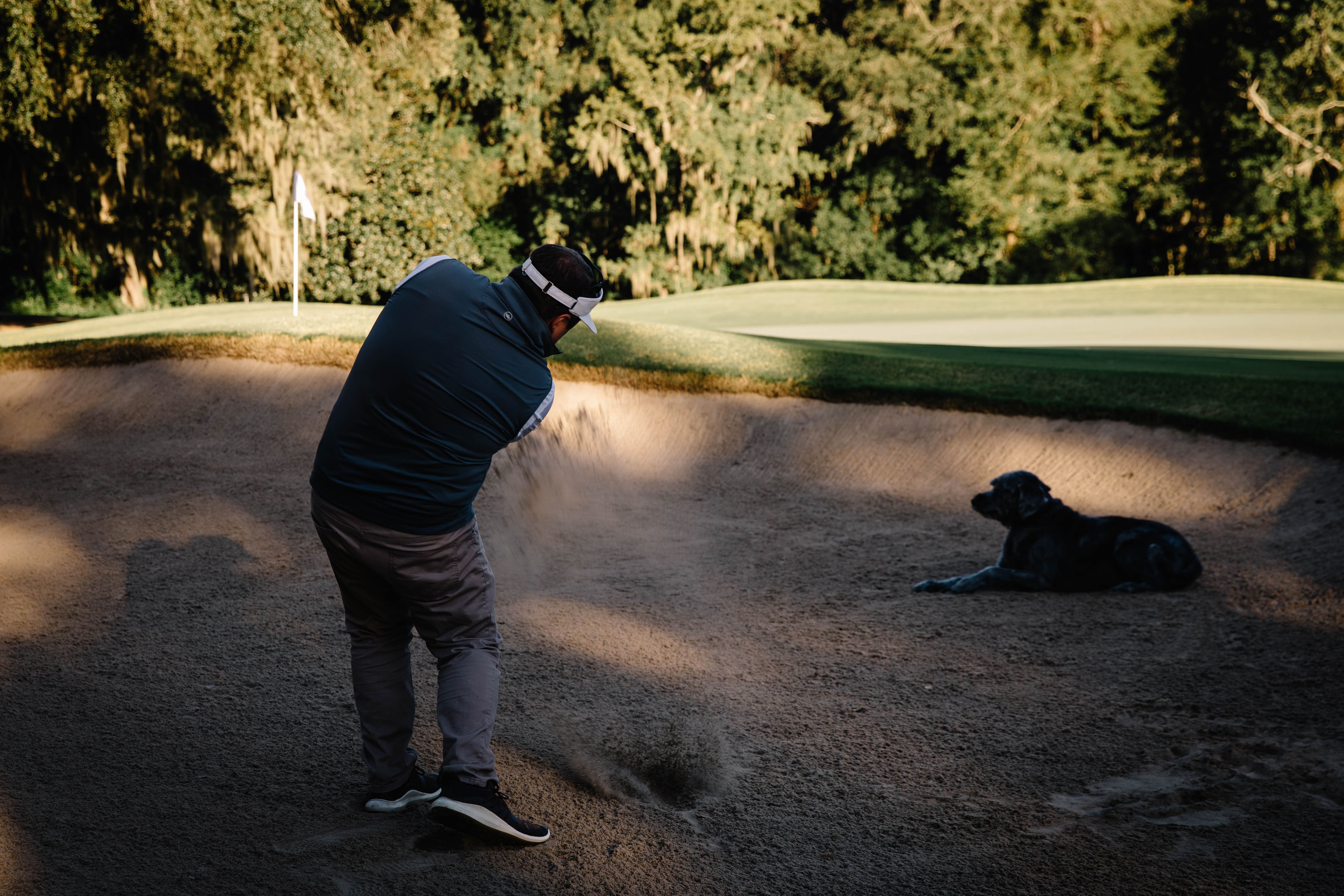 How to Train Your Golf Dog - by Jay Revell - Mid-Am Crisis