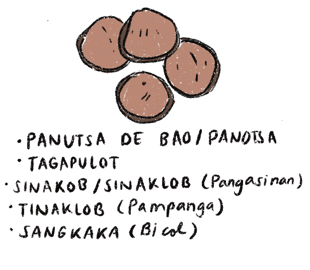 The Peculiar Life of a Buri Palm - meryenda