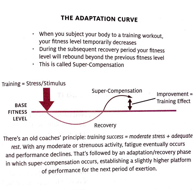 Recovery and the runner's adaptation curve