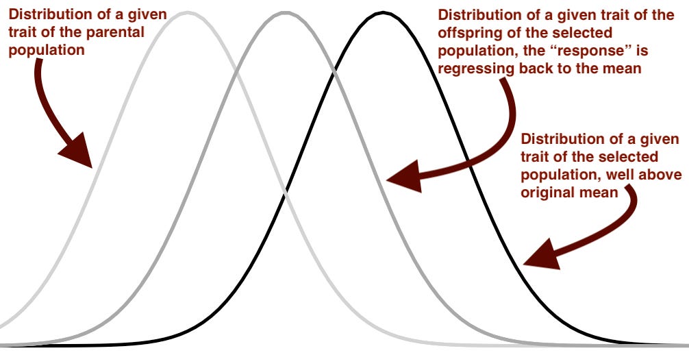 Heritability of height: the long and the short of it