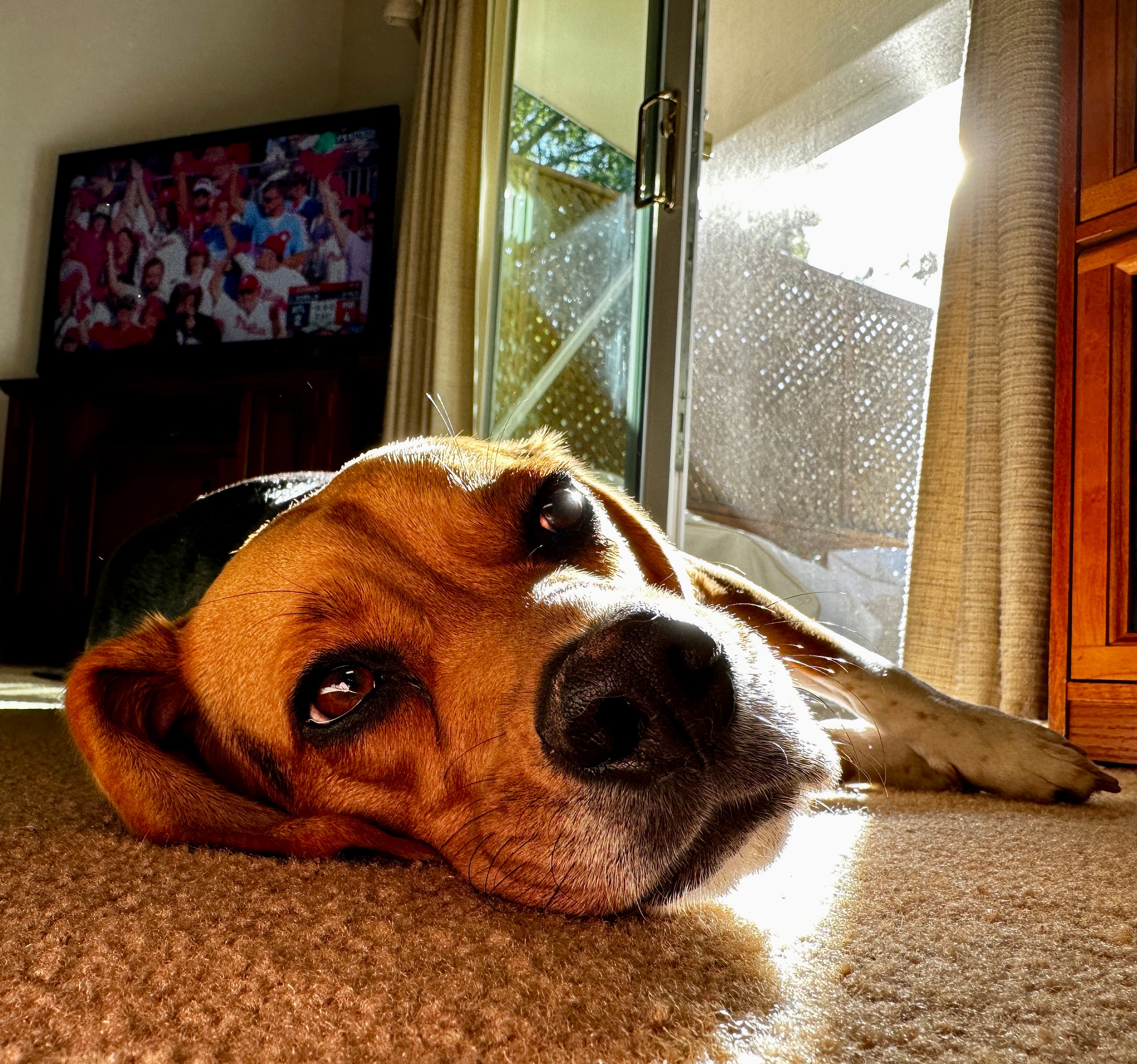 What to Make of Financial "Uncertainty" - by Jakob Linder