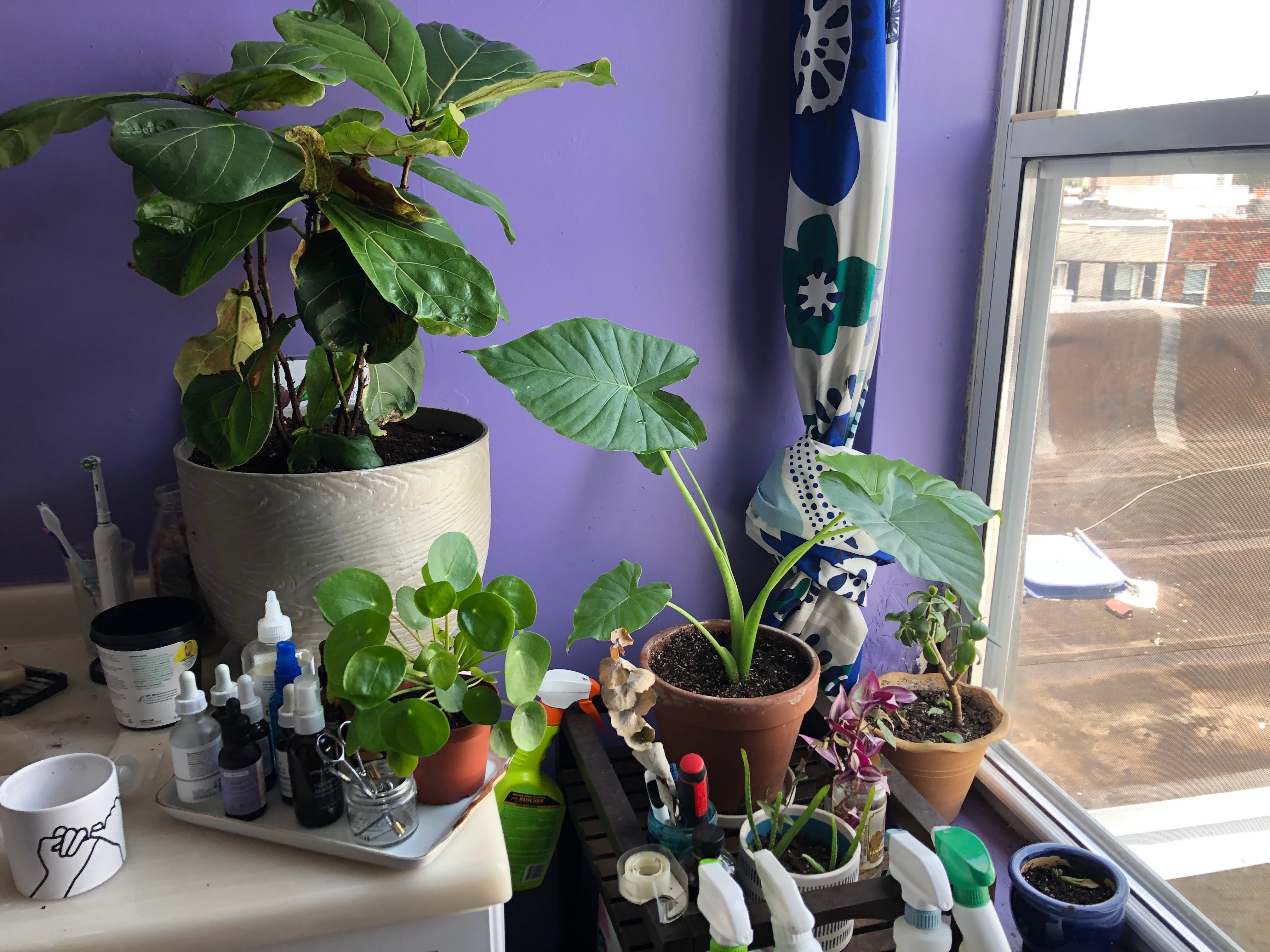 EyeKneaux | Margaret | Substack