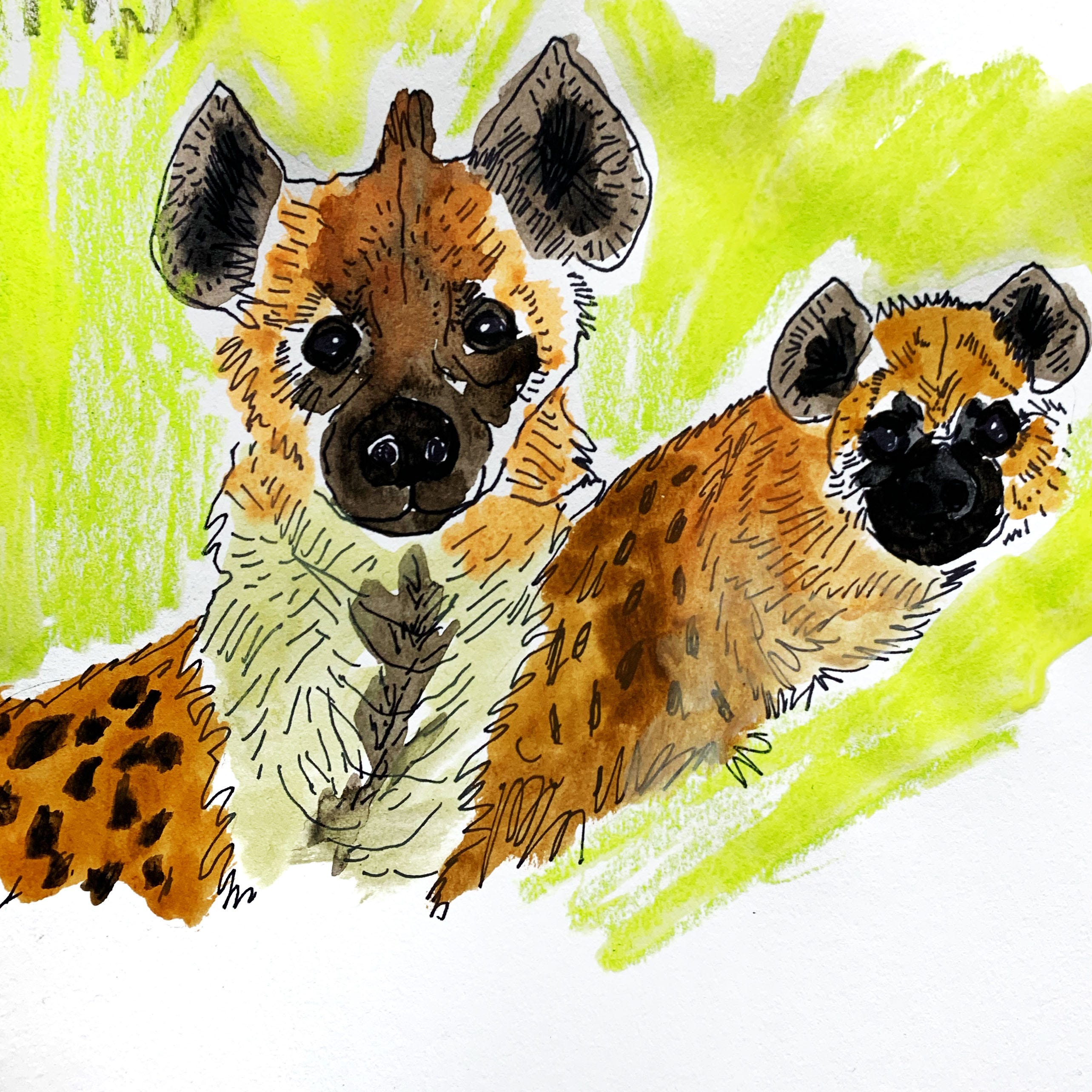 Perrin Ireland | Substack