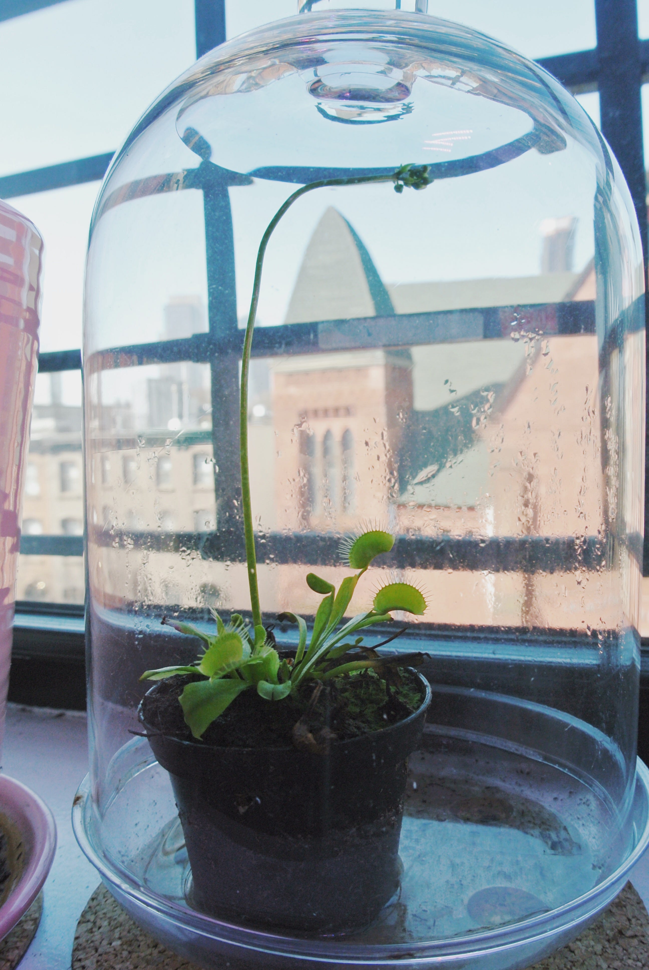 the right to create your own atmosphere - by Ellen Airhart