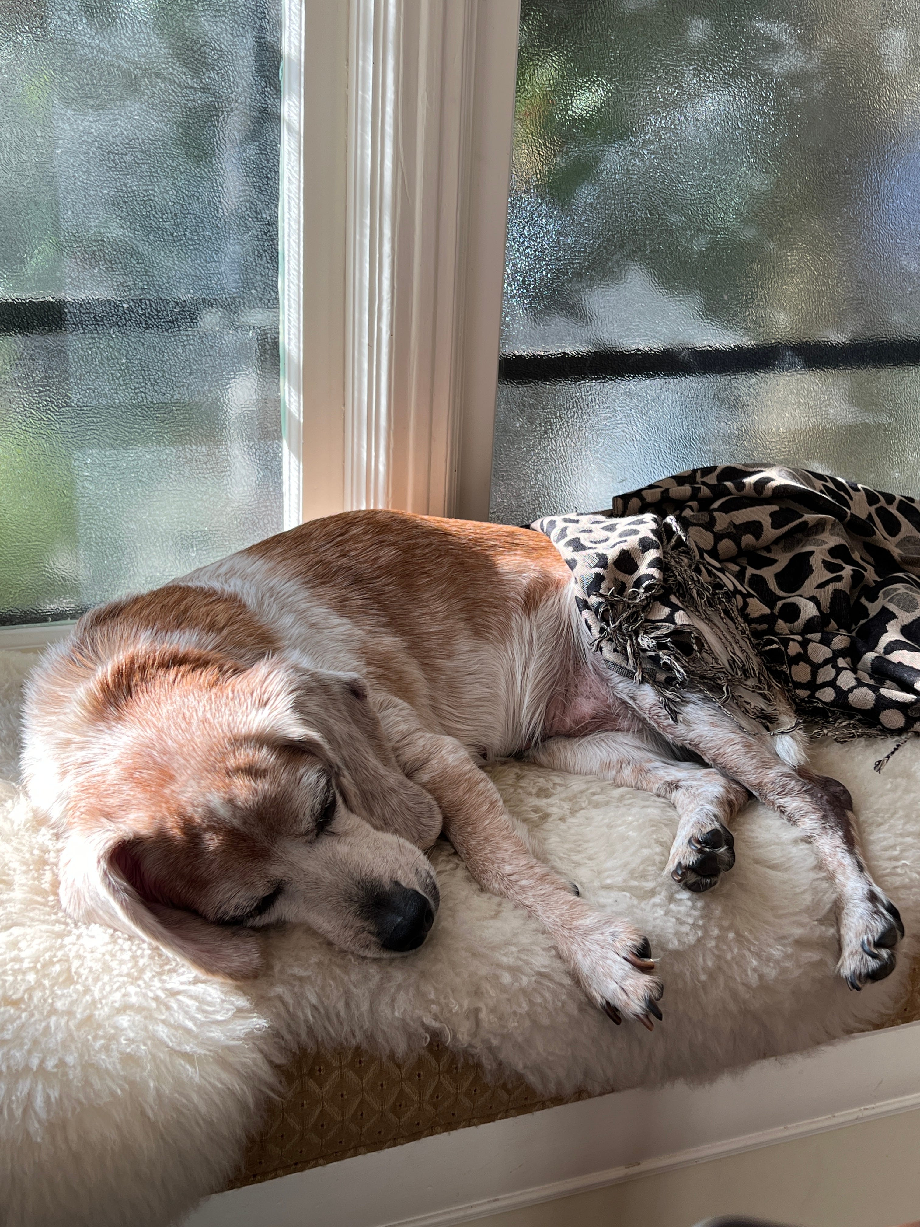 If You Can Fit It - by Marjie Alonso