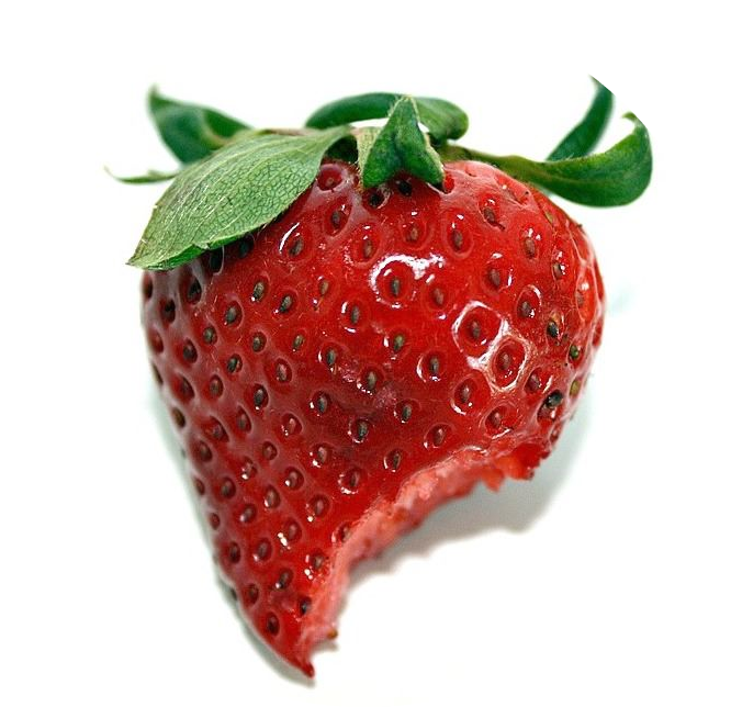 Kaitlin McGinn | Substack