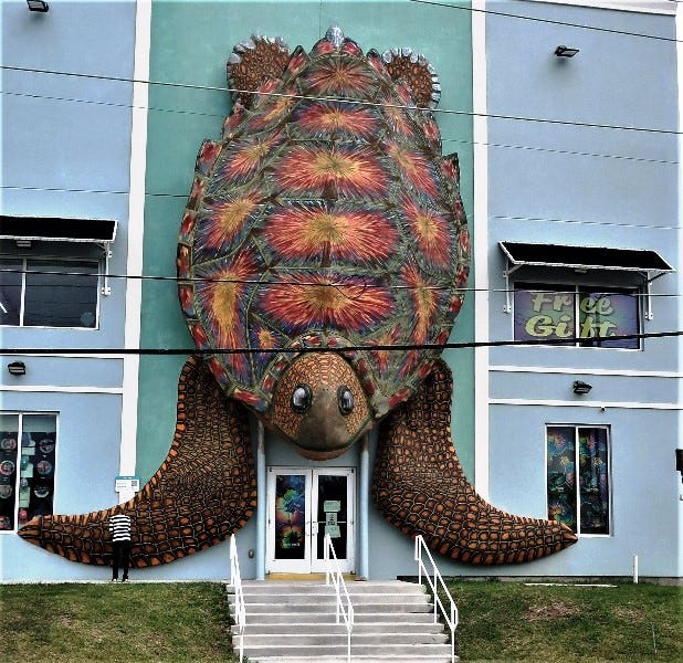 South Padre Island, TX: Sea Turtle Art and Sandcastle Capitals of the World