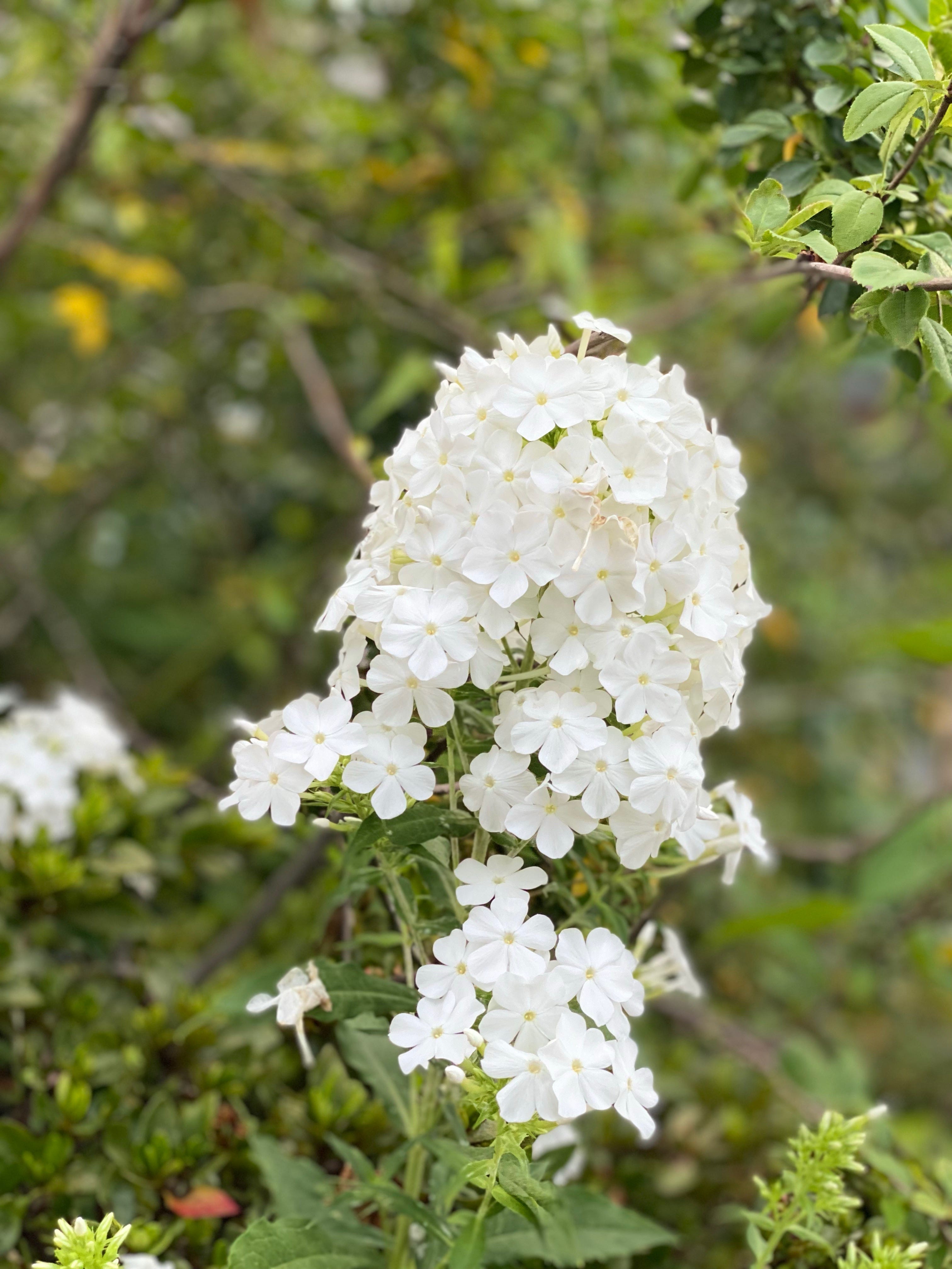 Storms - by Joel Neff - 91 Days