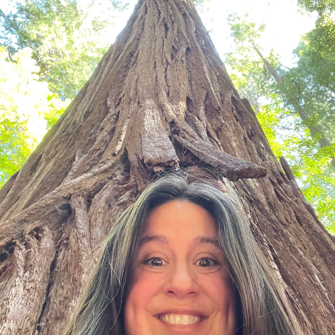 Ashley Heider Daly | Substack