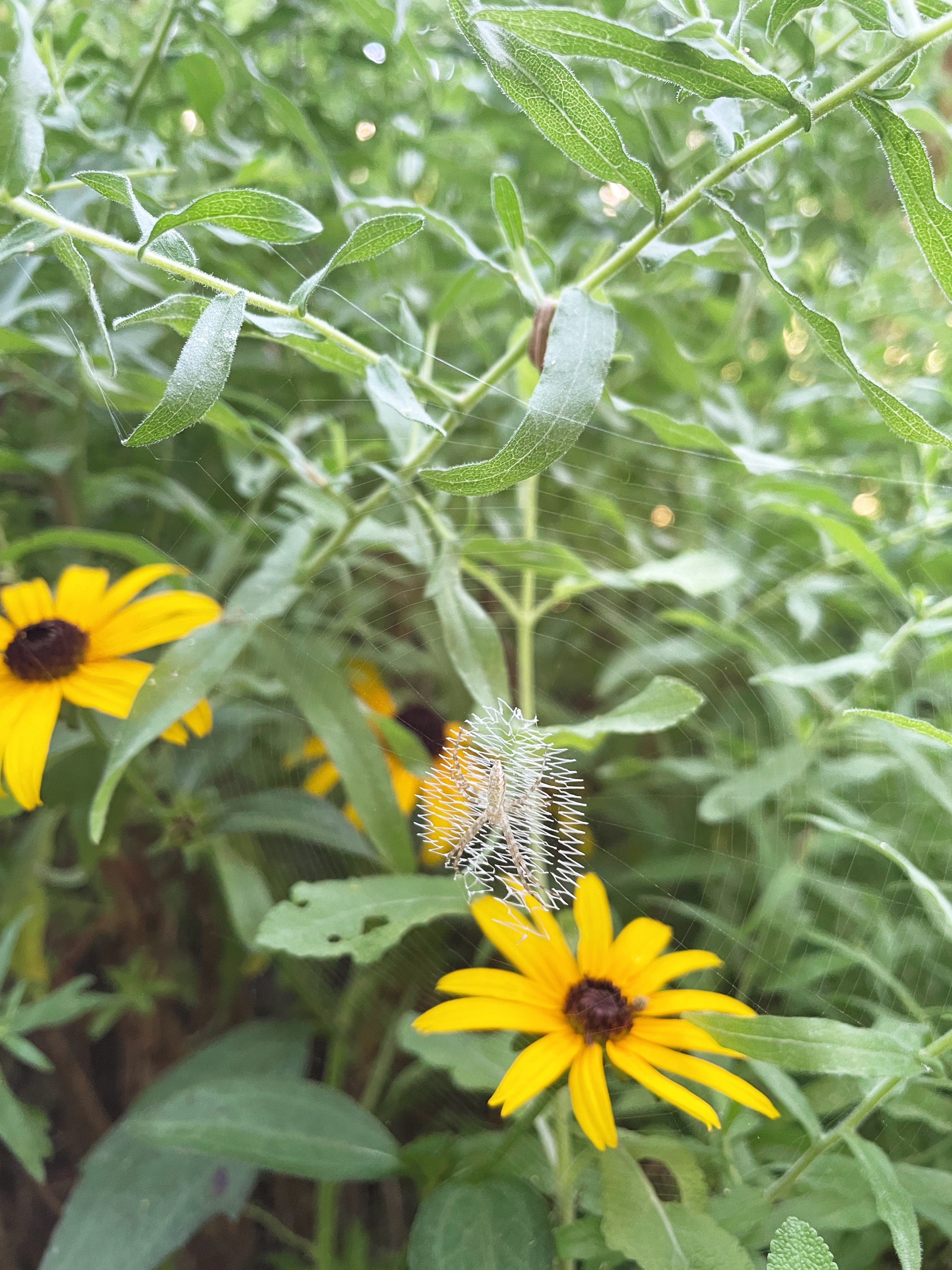 Younger and Older Friends! - Ashley Heider Daly