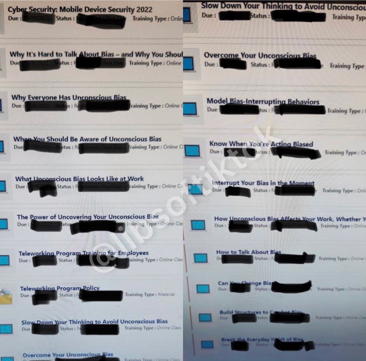 North Carolina state employees force woke training