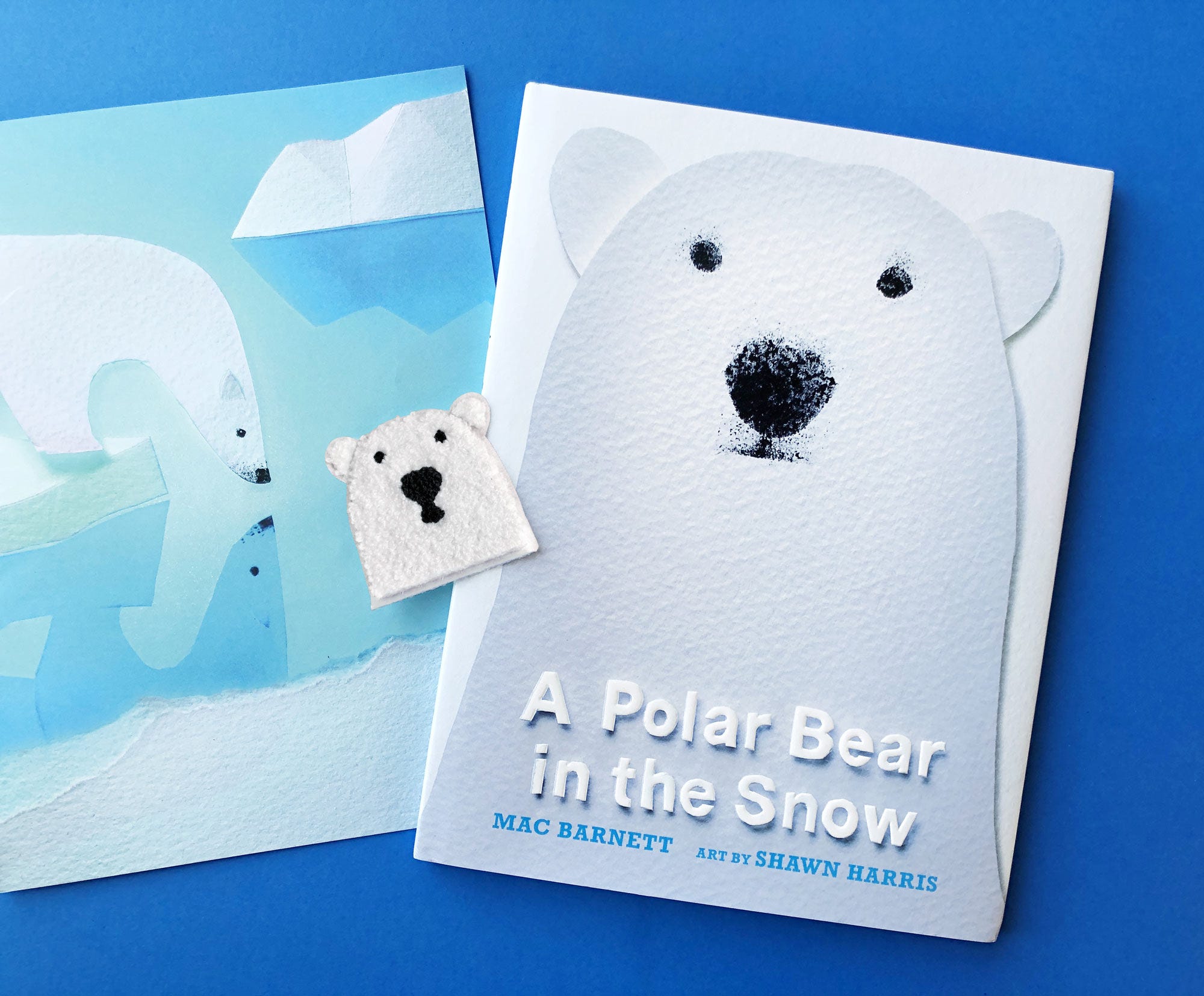 The Polar Bear Preorder Power Pack! - by Mac Barnett