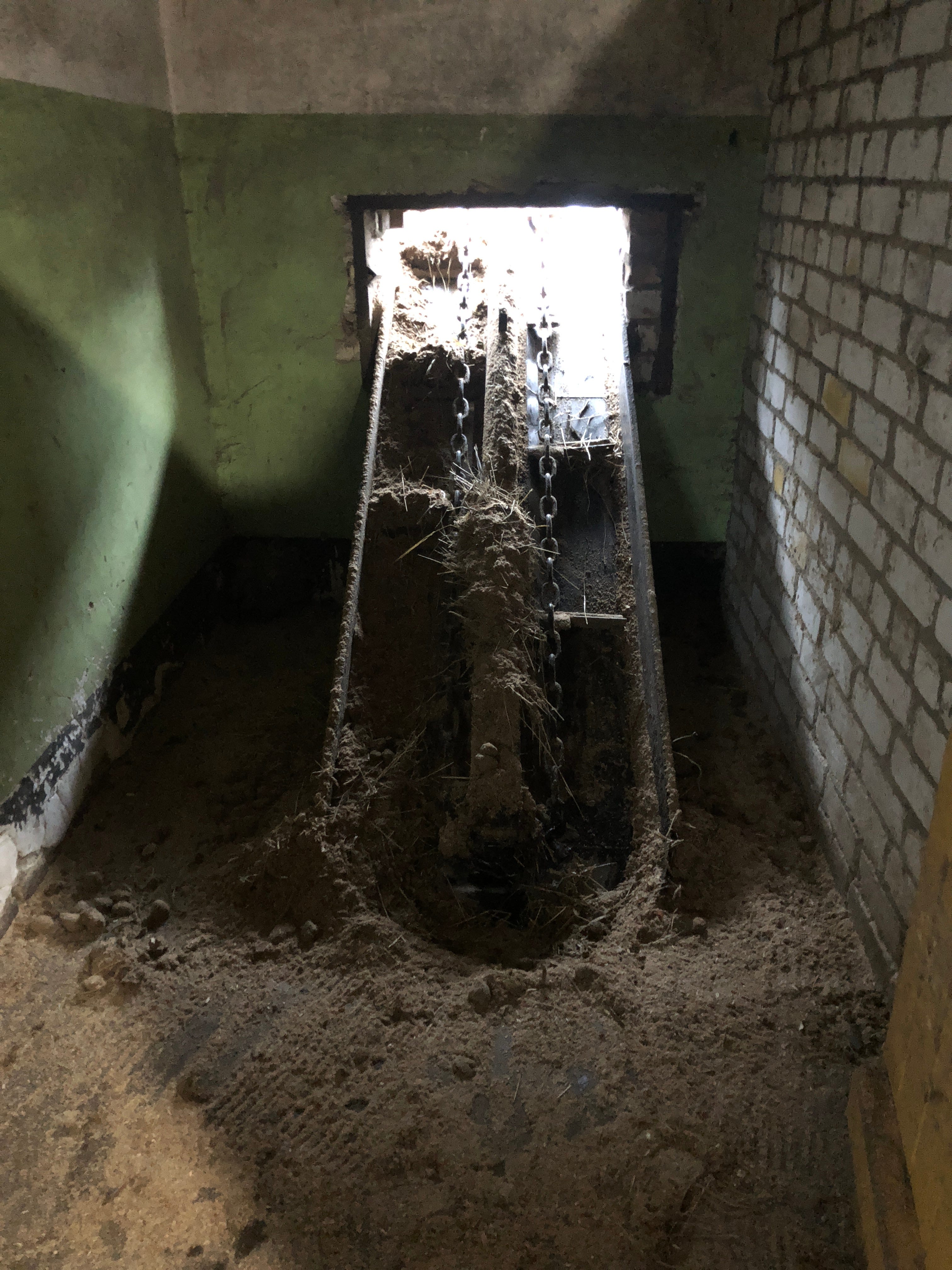 madness - Deloise in America