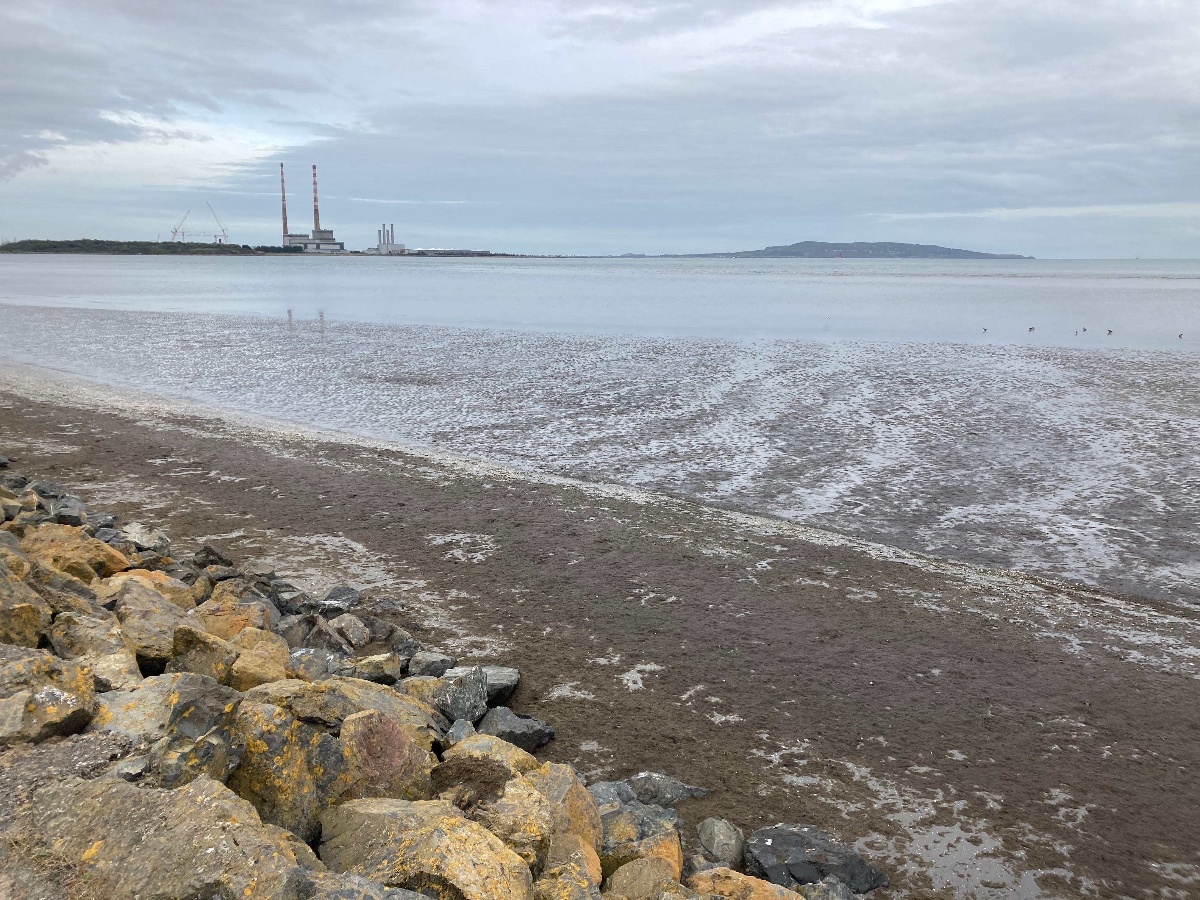 Ulysses at 100 - by Robert Walrod - Earthly Delights