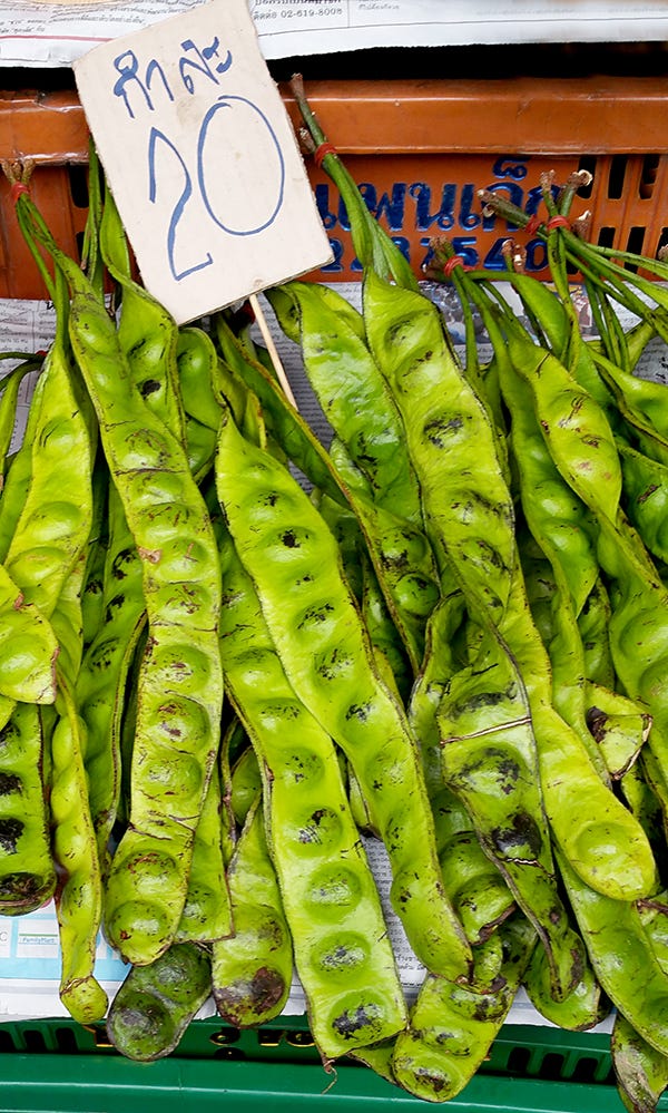 Spicy Sato Bean Stir-Fry with Pork and Shrimp