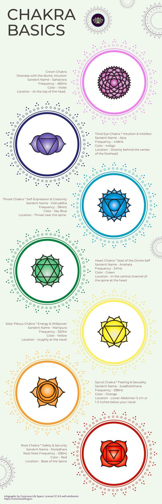 Learning about the 7 basic chakras might leave you wanting to learn more!