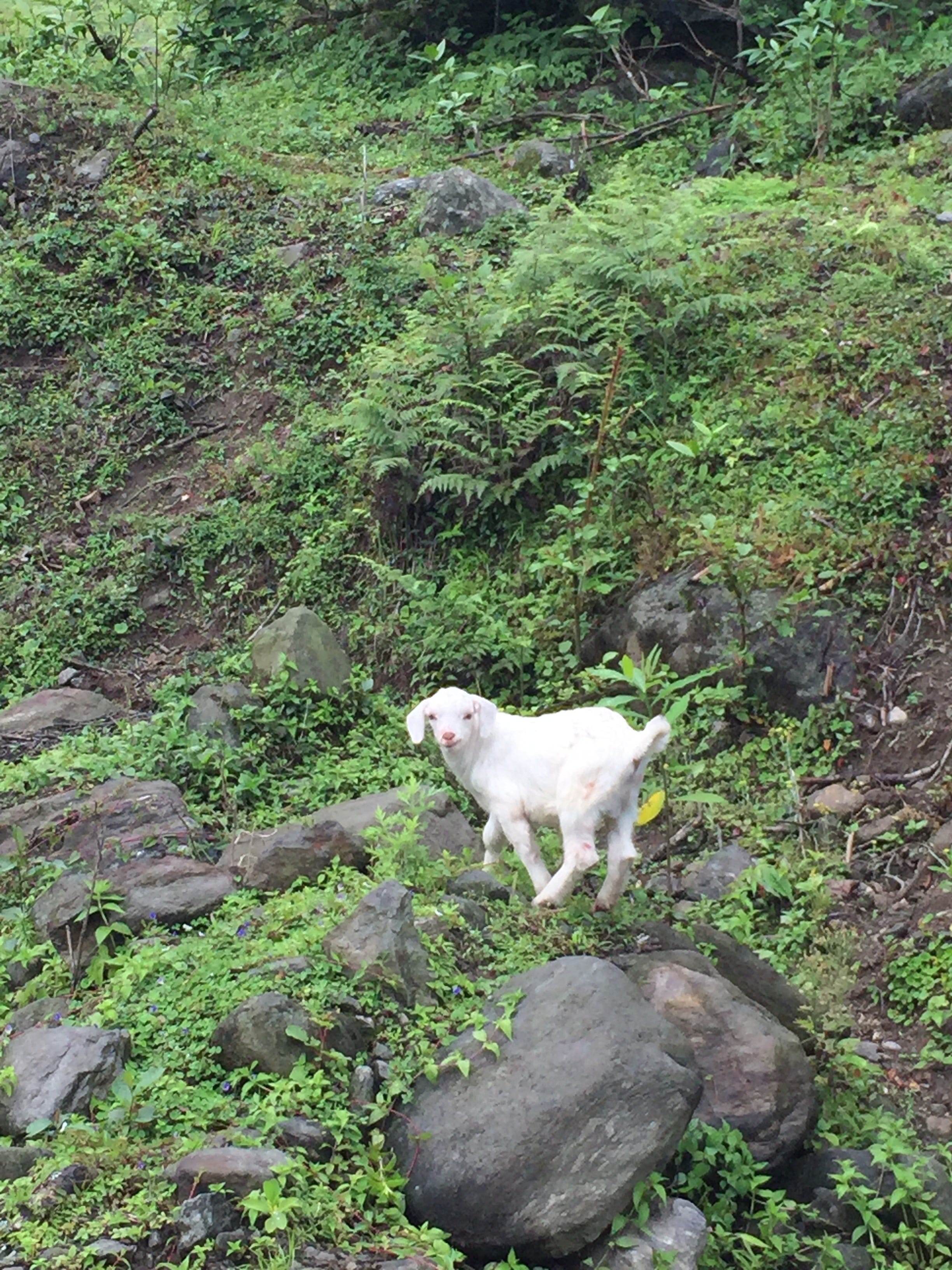 Sheer art. - by Sasha Manu - Apsis