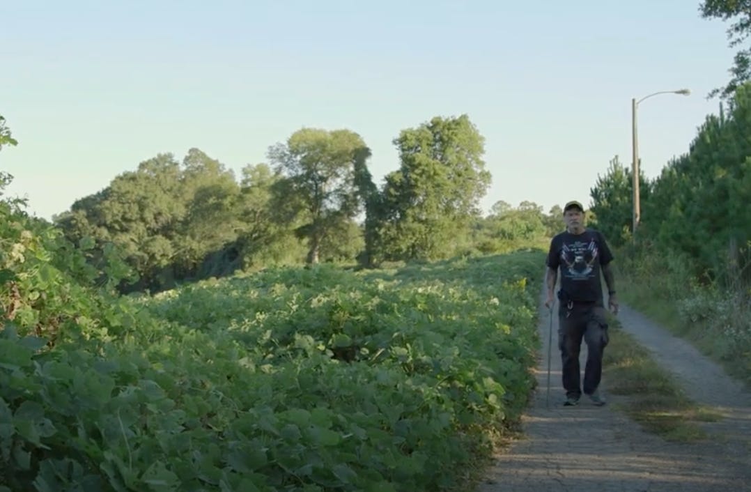 The Charnel Ground - by Beth Shelburne - Moth to flame