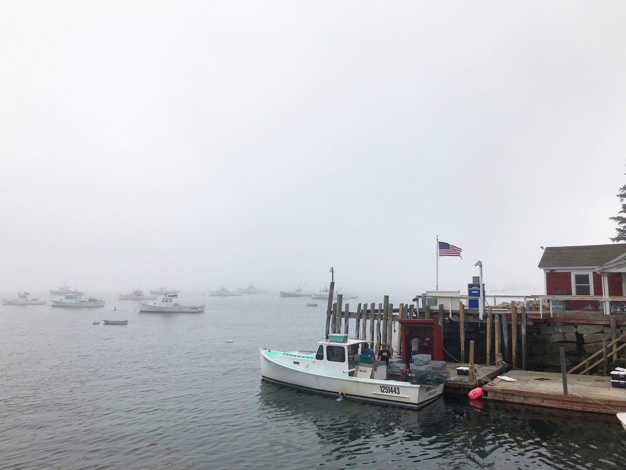 Photo Munch Newsletter August 2022 - by PhotoMunch