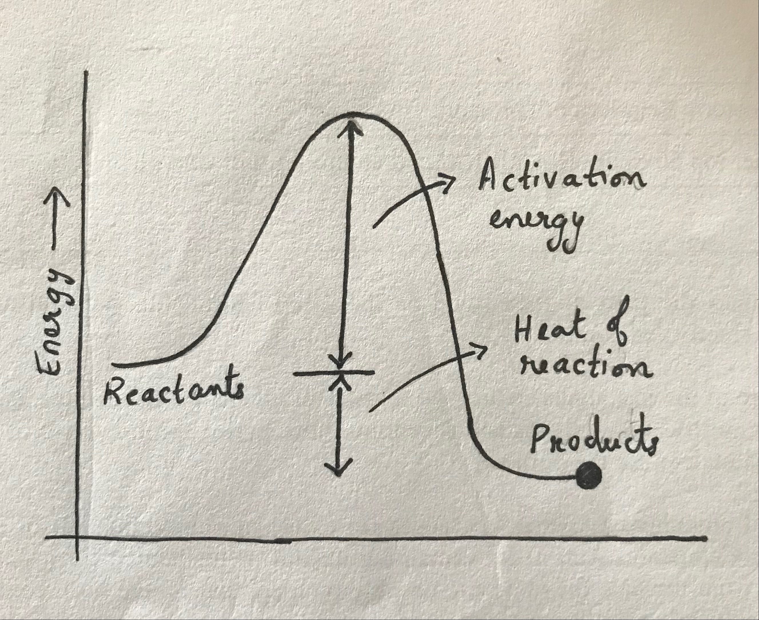 Activation Energy and Rosa Parks - by Matthew John