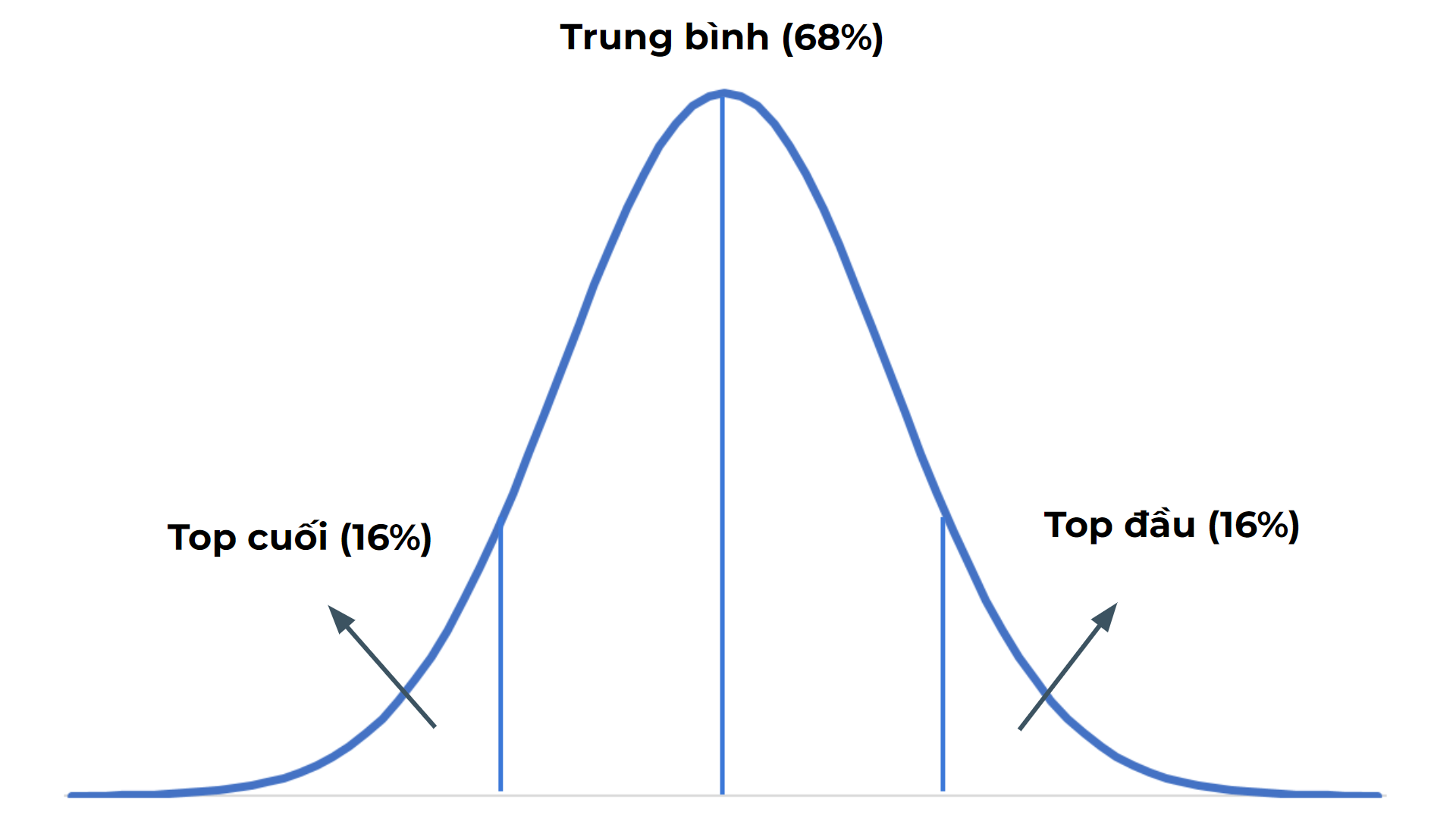 nghĩ lại về bell curve (tự diss TED talk) - by Akwaaba Tung
