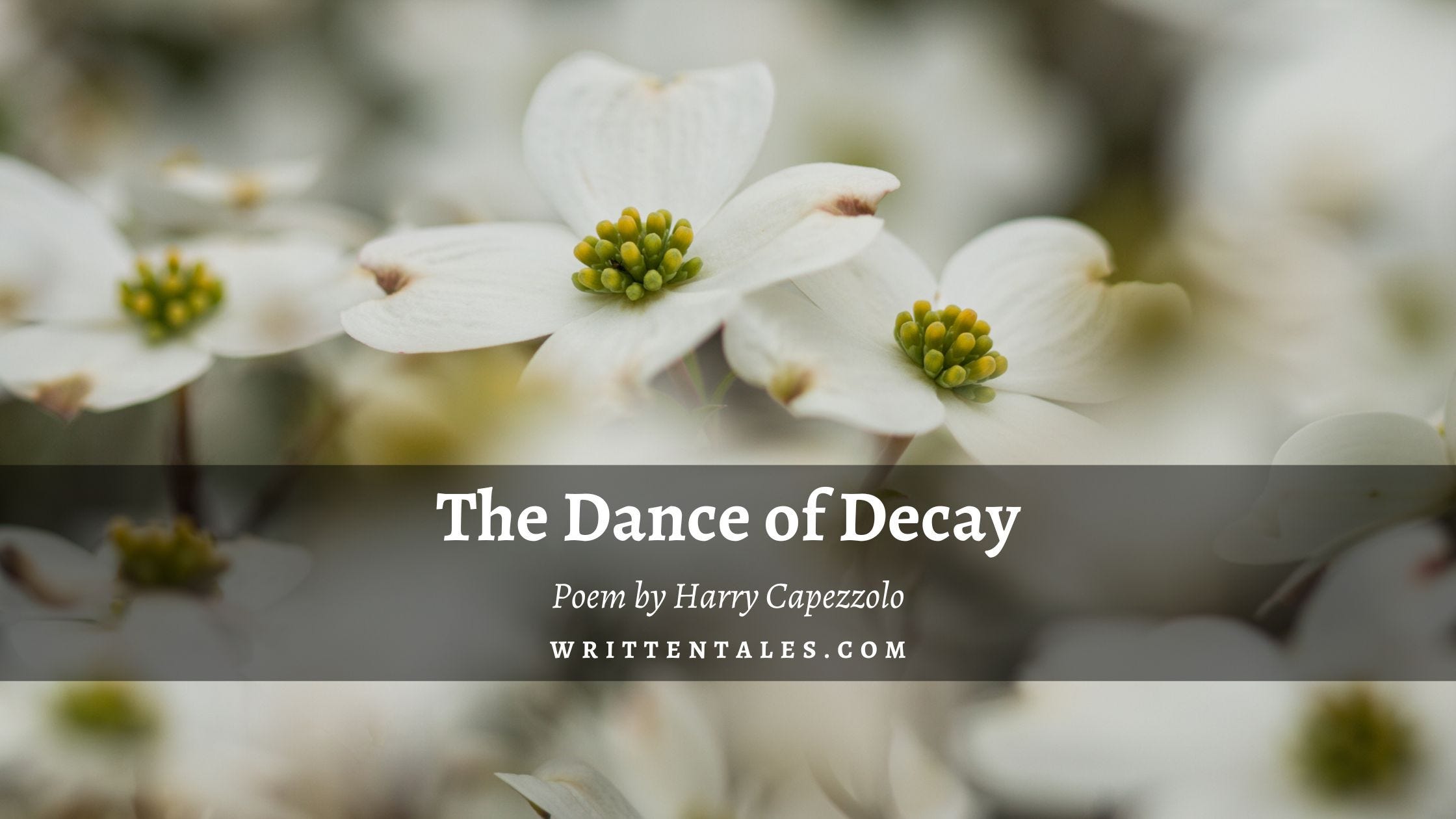 The Dance of Decay - Written Tales Magazine
