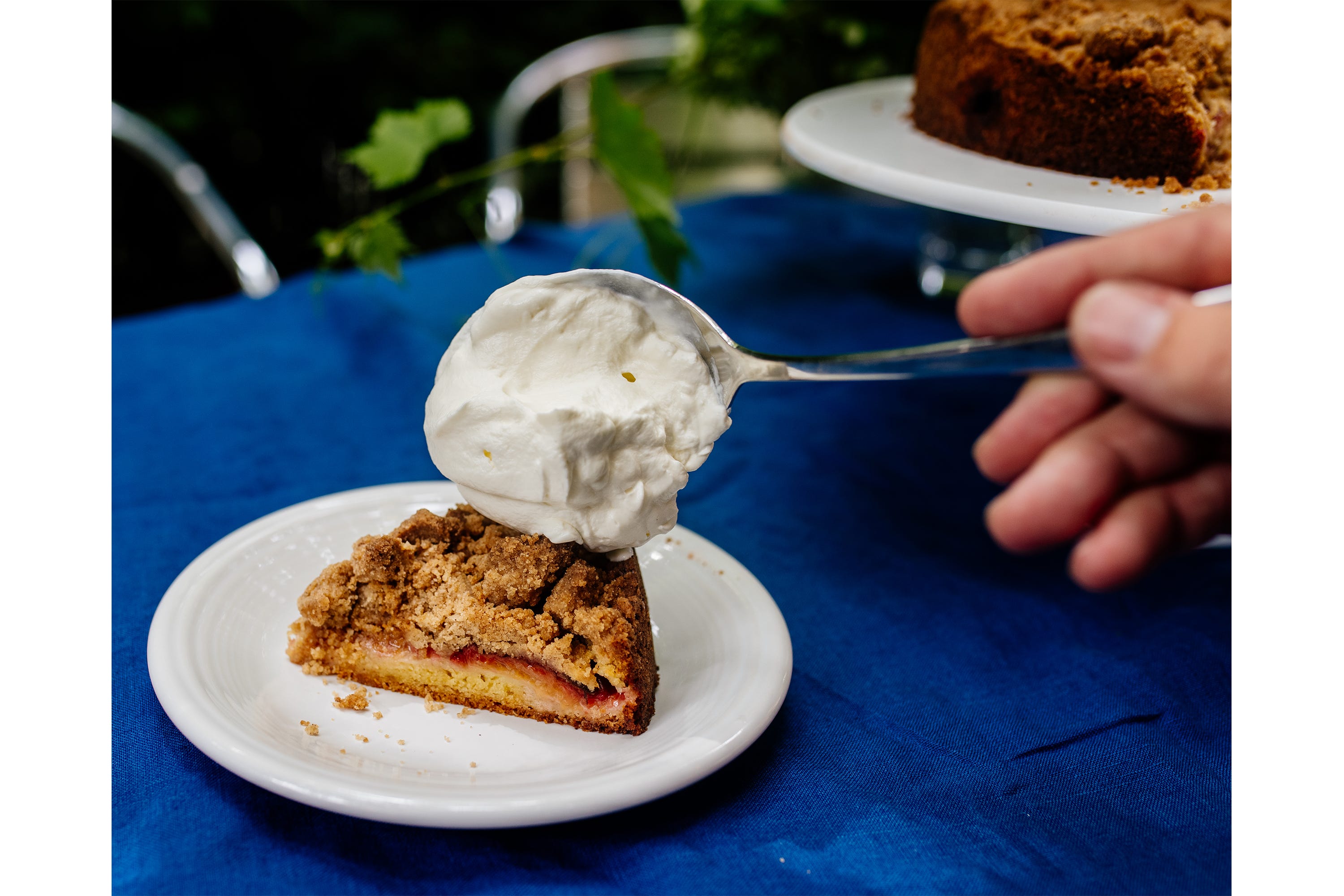 Plum Crum Snack Cake: A Piece of Cake #38 - by Bill Clark