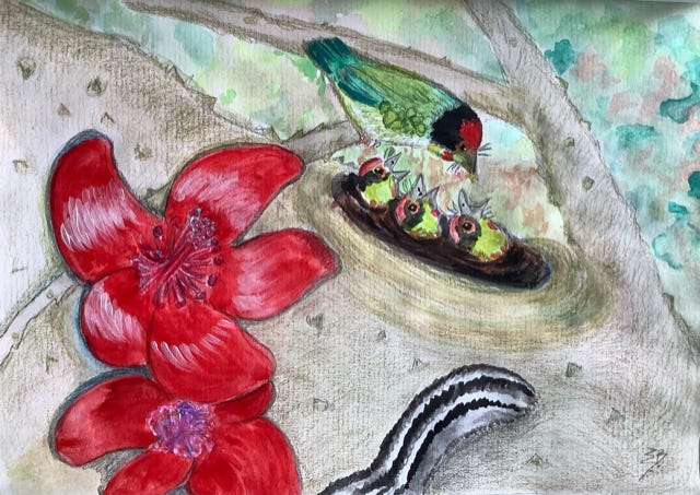 The Sparrows, the Storm, and the Semul Tree