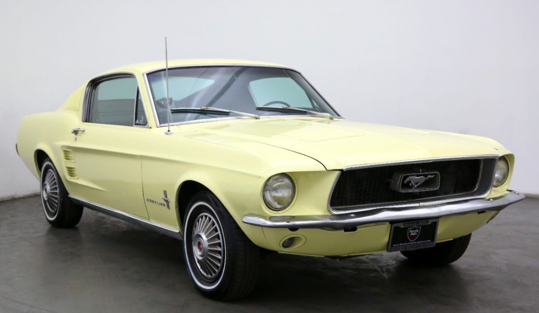 History Repeats & Its Name is Mustang - by laura vecsey