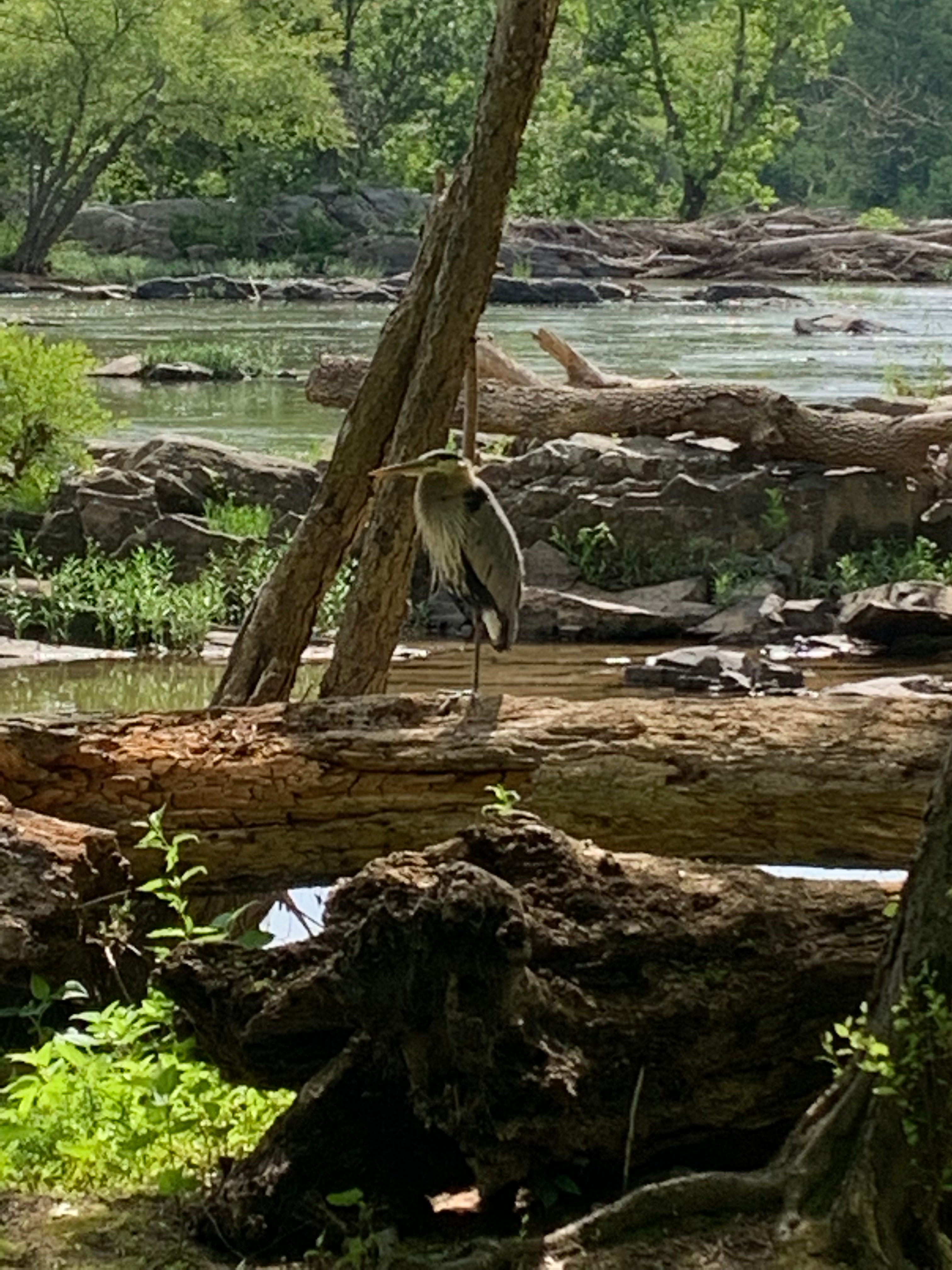 Ten Years - by Jane Ehrenfeld - Whimsy and Pique