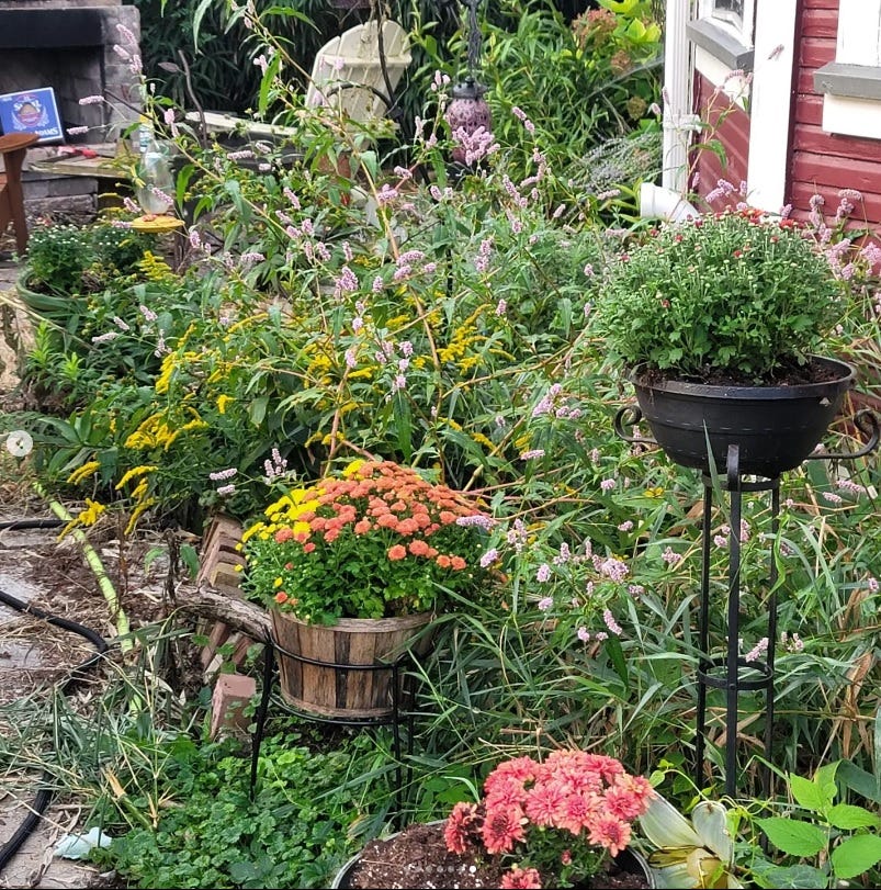 Hurley's Heroes | Kameron Hurley | Substack