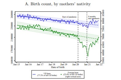 BORN IN THE USA - FERTILITY IN AMERICA - by Russell Clark