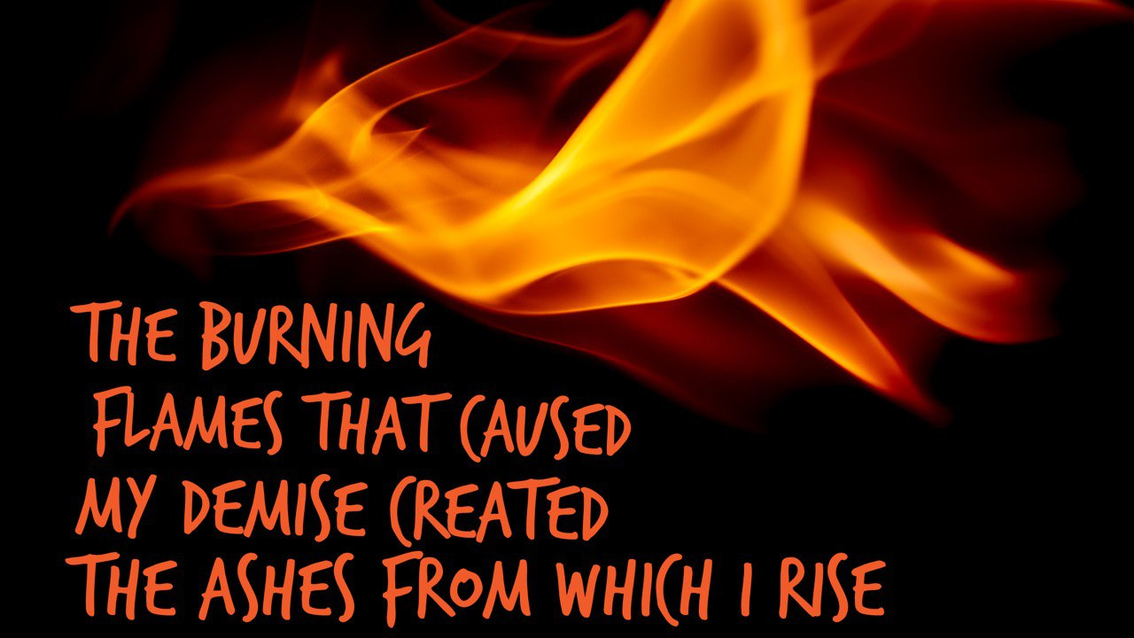 The Burning Flames That Caused My Demise Created The Ashes From Which I ...