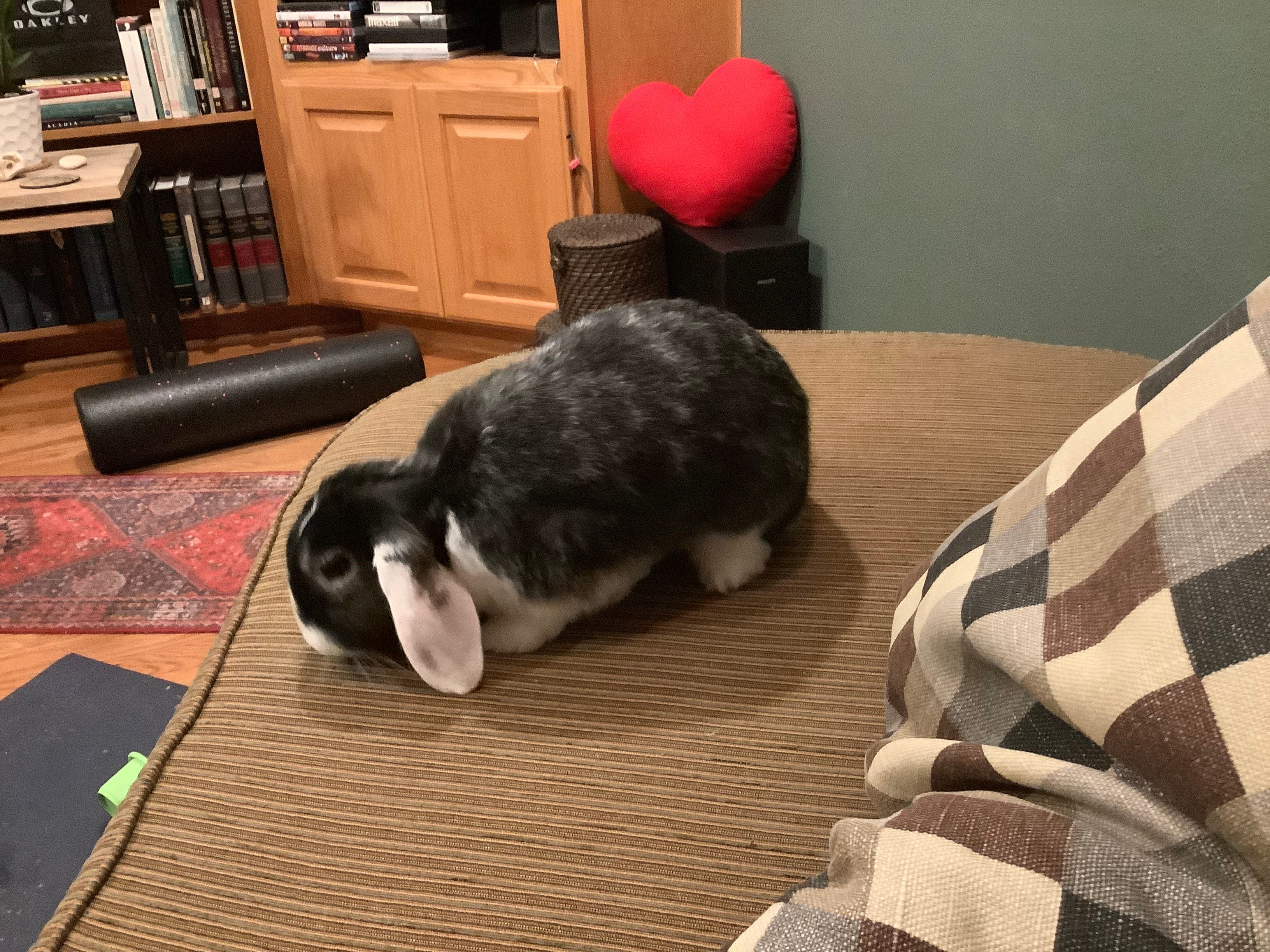 Did I luck out getting melanoma this year? - by Leah P