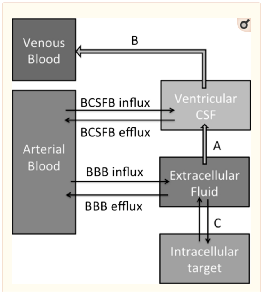 PTC Therapeutics Aspires to Help Restock the Huntington's Pipeline