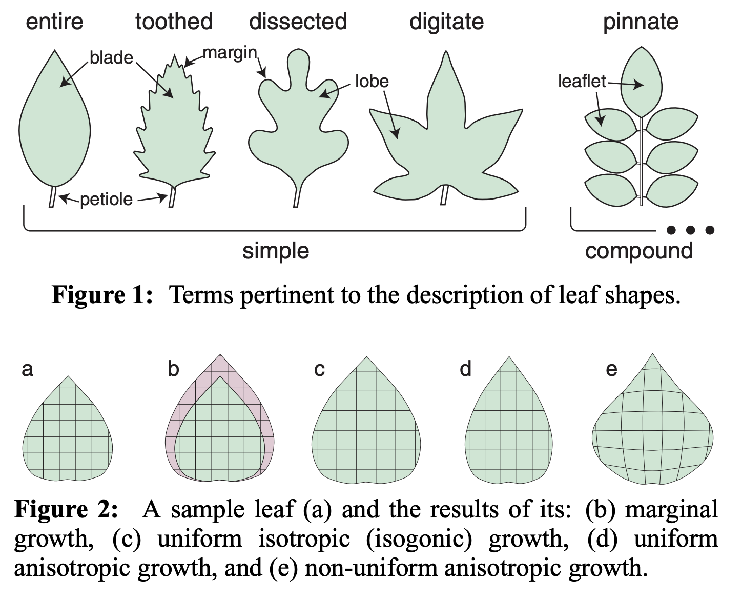 Fine Art, Daily Code Sketches and Vulnerability